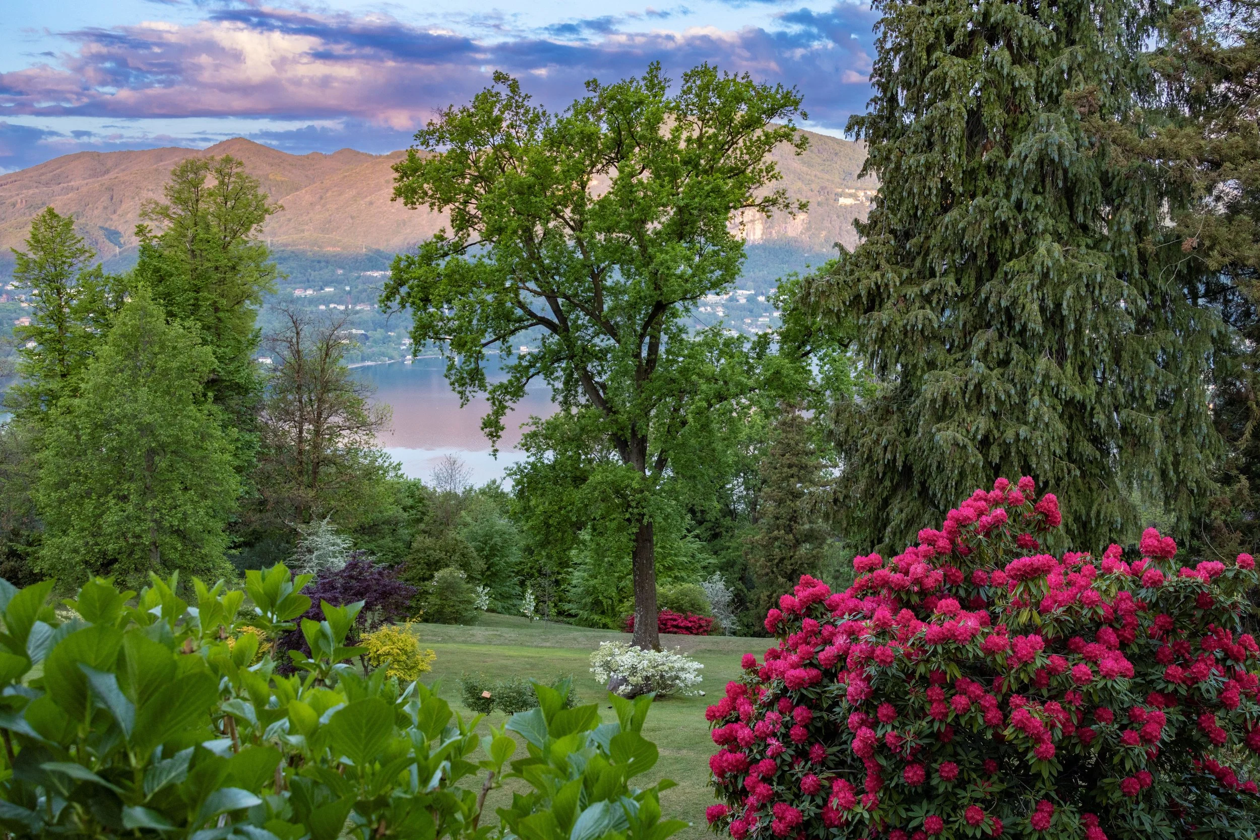 GIARDINO LORELLA