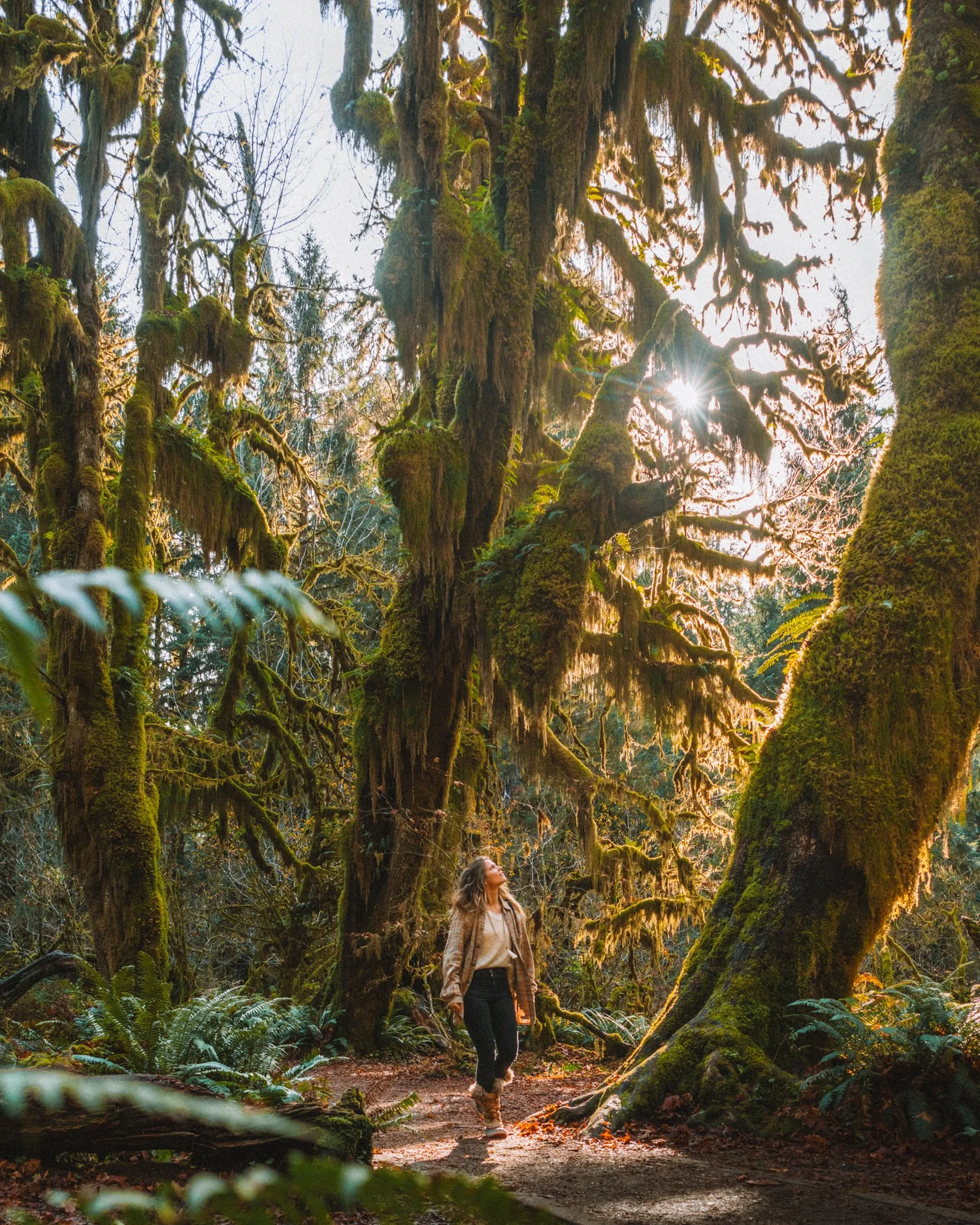 Best Places to See Fall Colors in Washington State: The Ultimate Guide ...