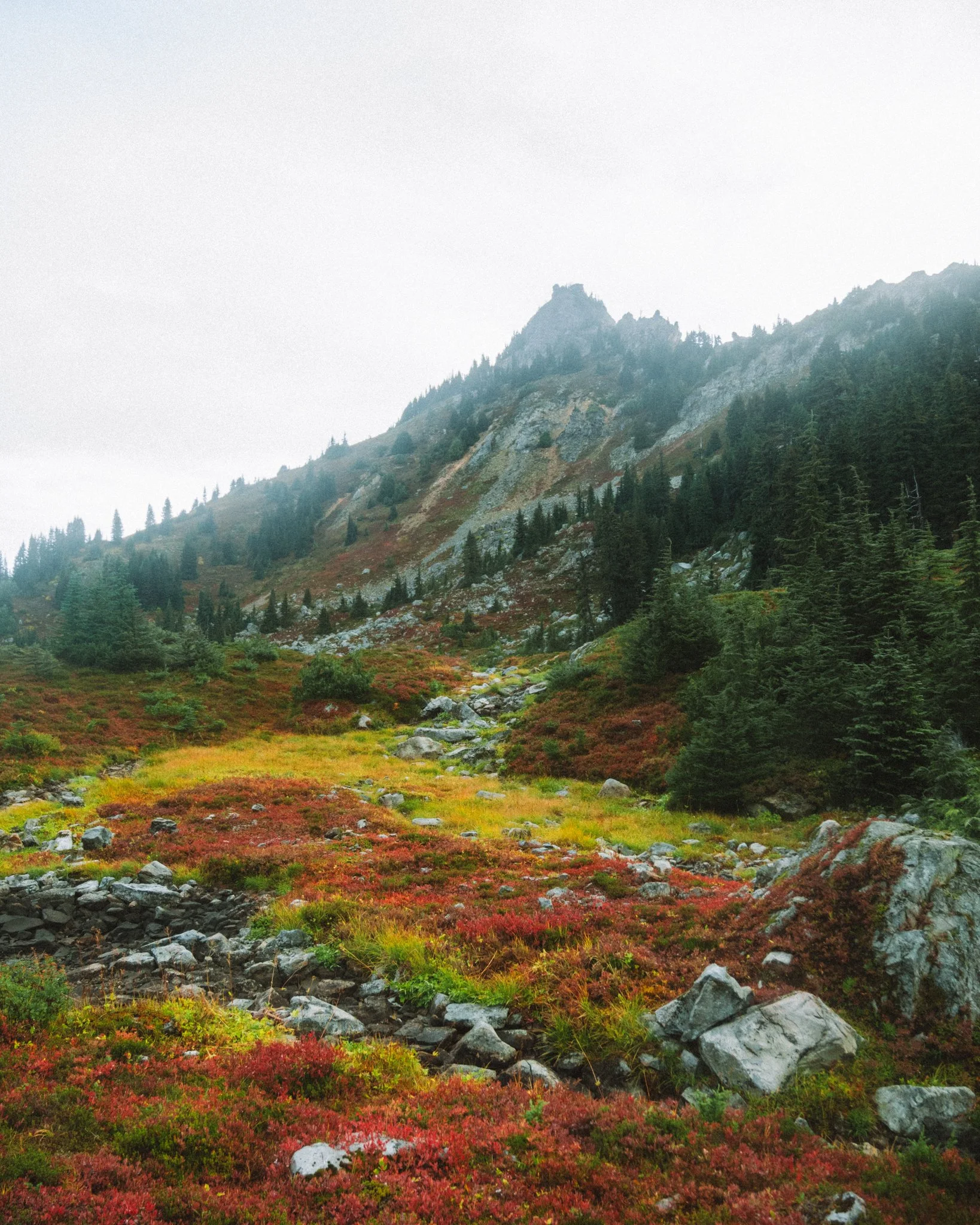 Best Places to See Fall Colors in Washington State: The Ultimate Guide ...
