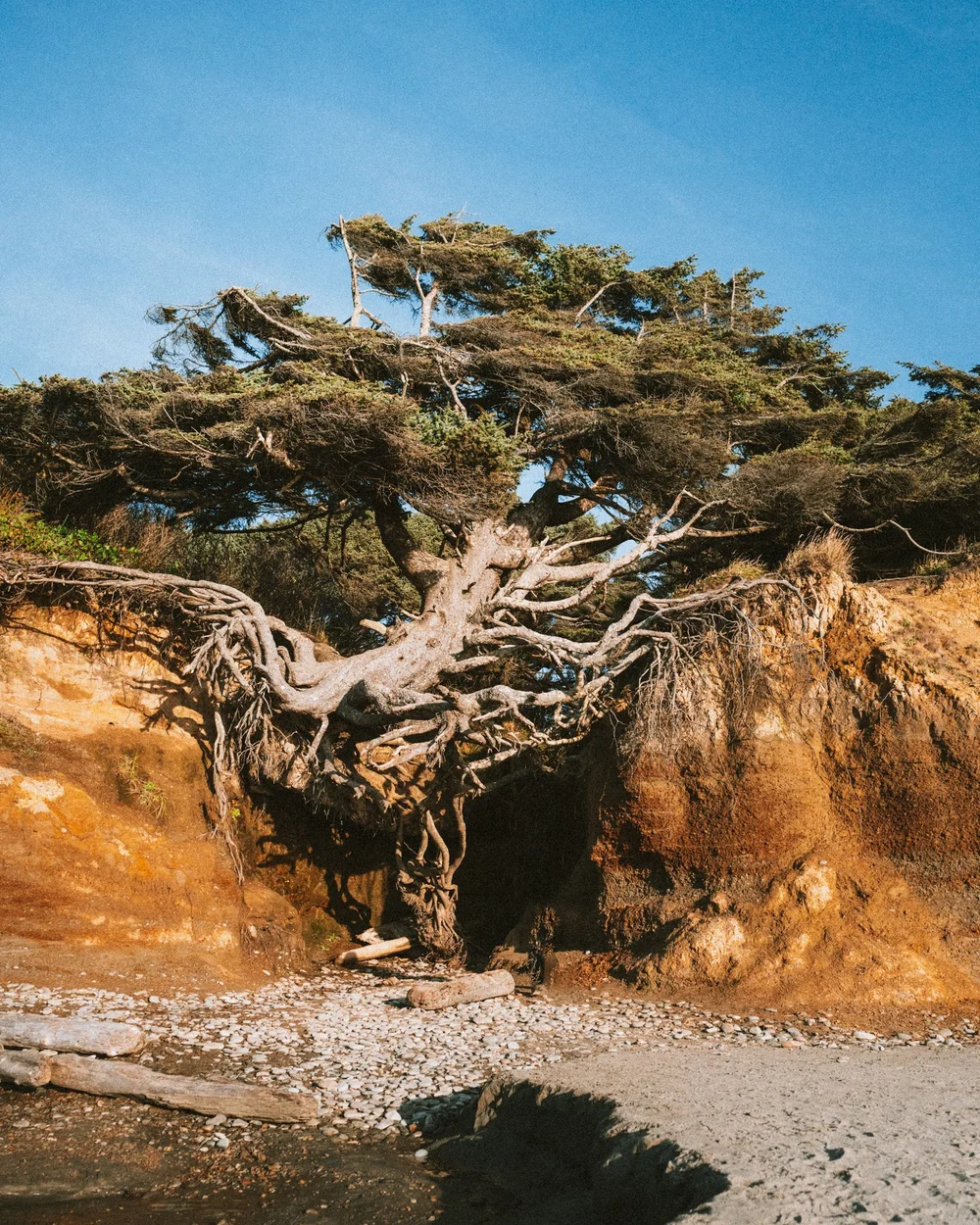 Best Places to See Fall Colors in the Olympic National Park — Sky Frost