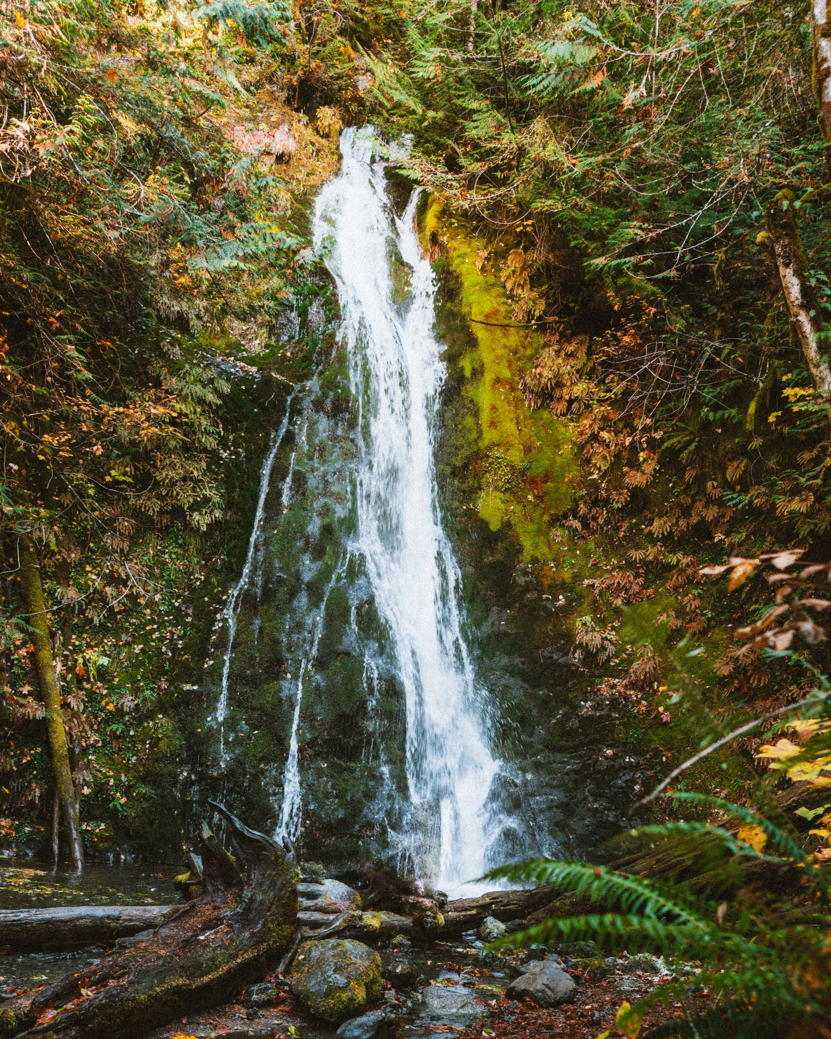 Best Places to See Fall Colors in the Olympic National Park — Sky Frost