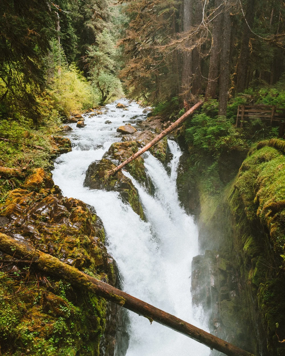Best Places to See Fall Colors in the Olympic National Park — Sky Frost