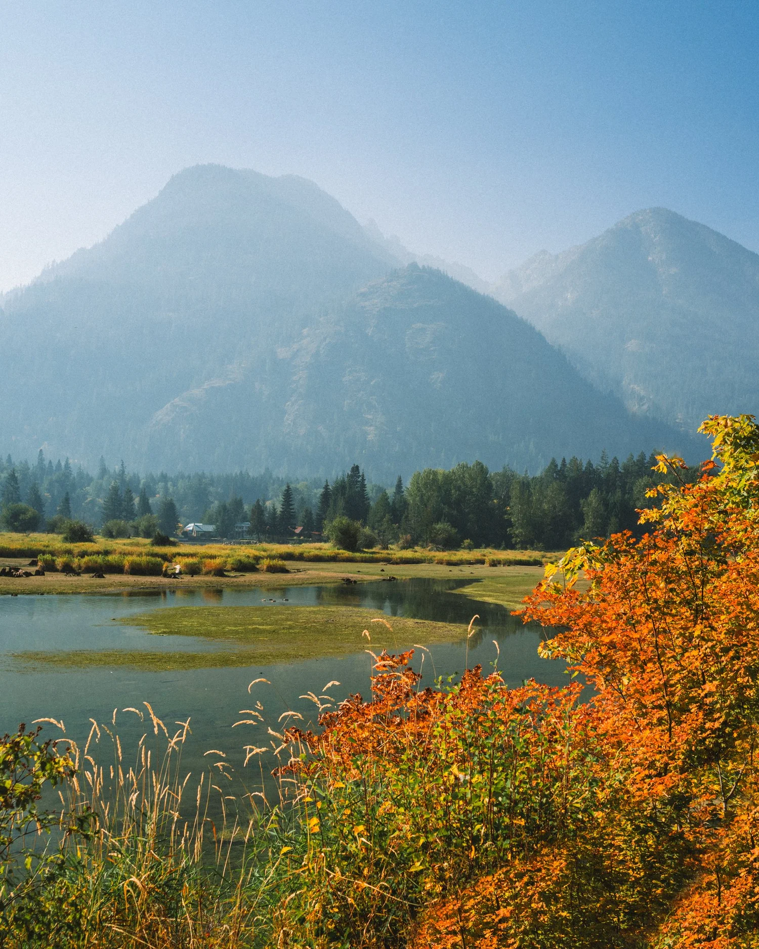 Best Places to See Fall Colors in Washington State: The Ultimate Guide ...