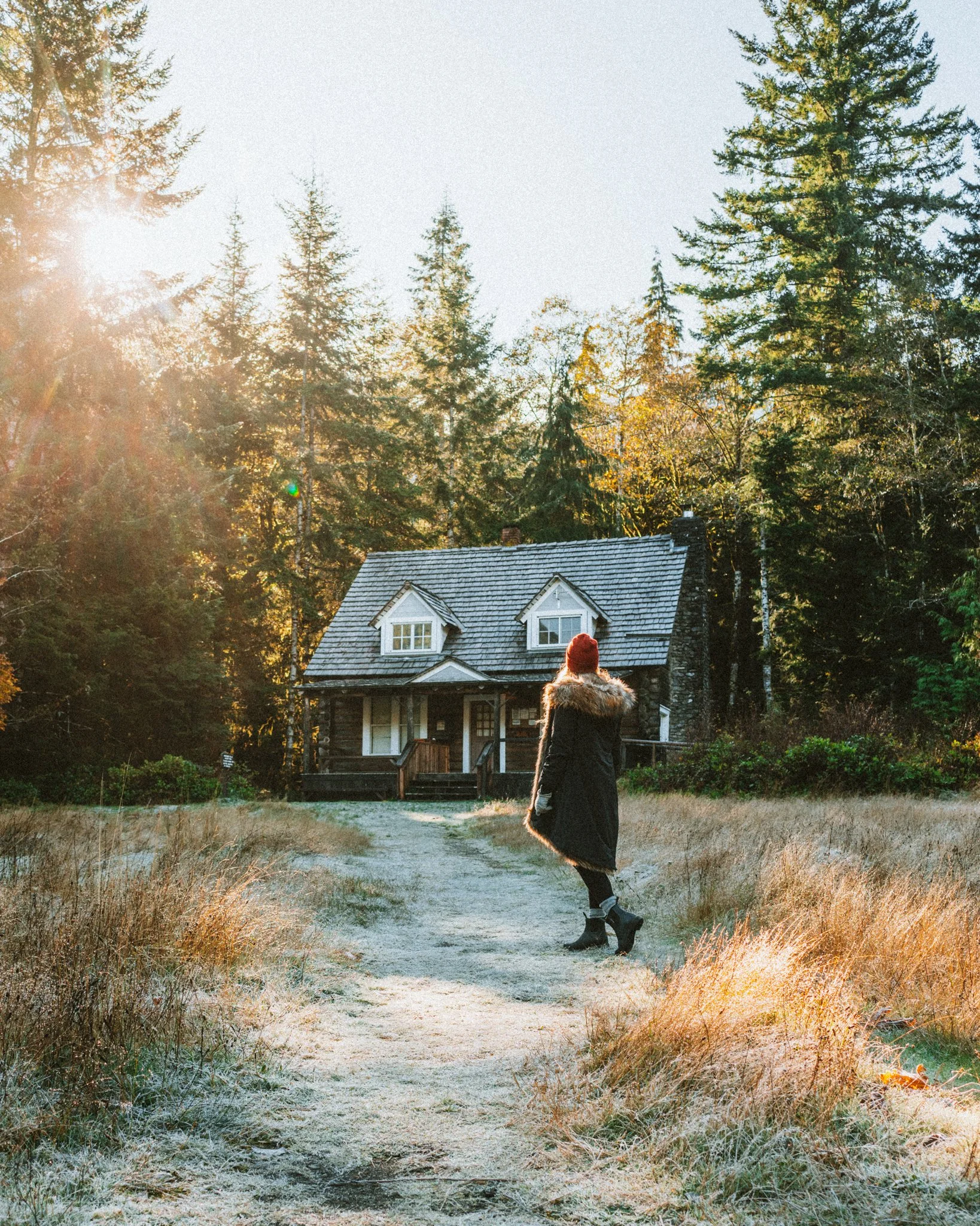 Best Places to See Fall Colors in the Olympic National Park — Sky Frost