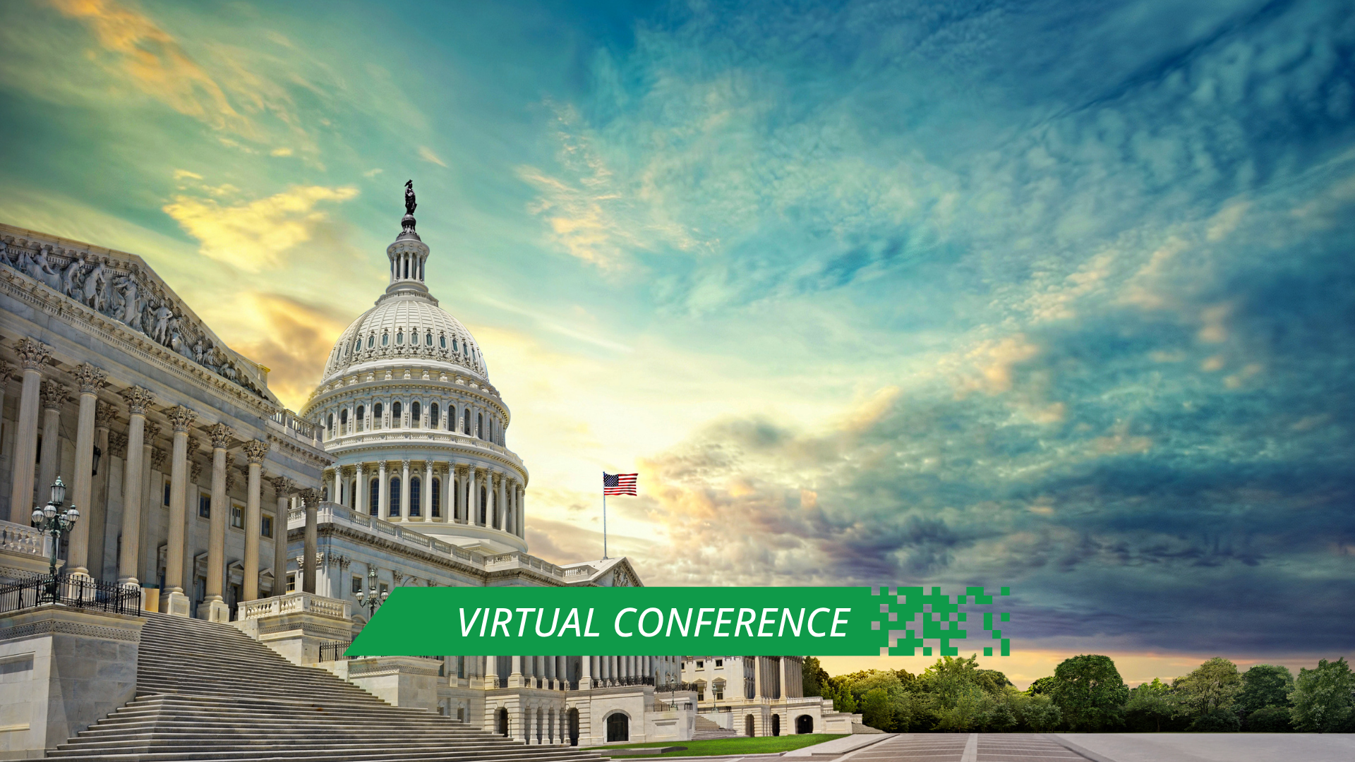 NPIAP 2025 Fall Conference