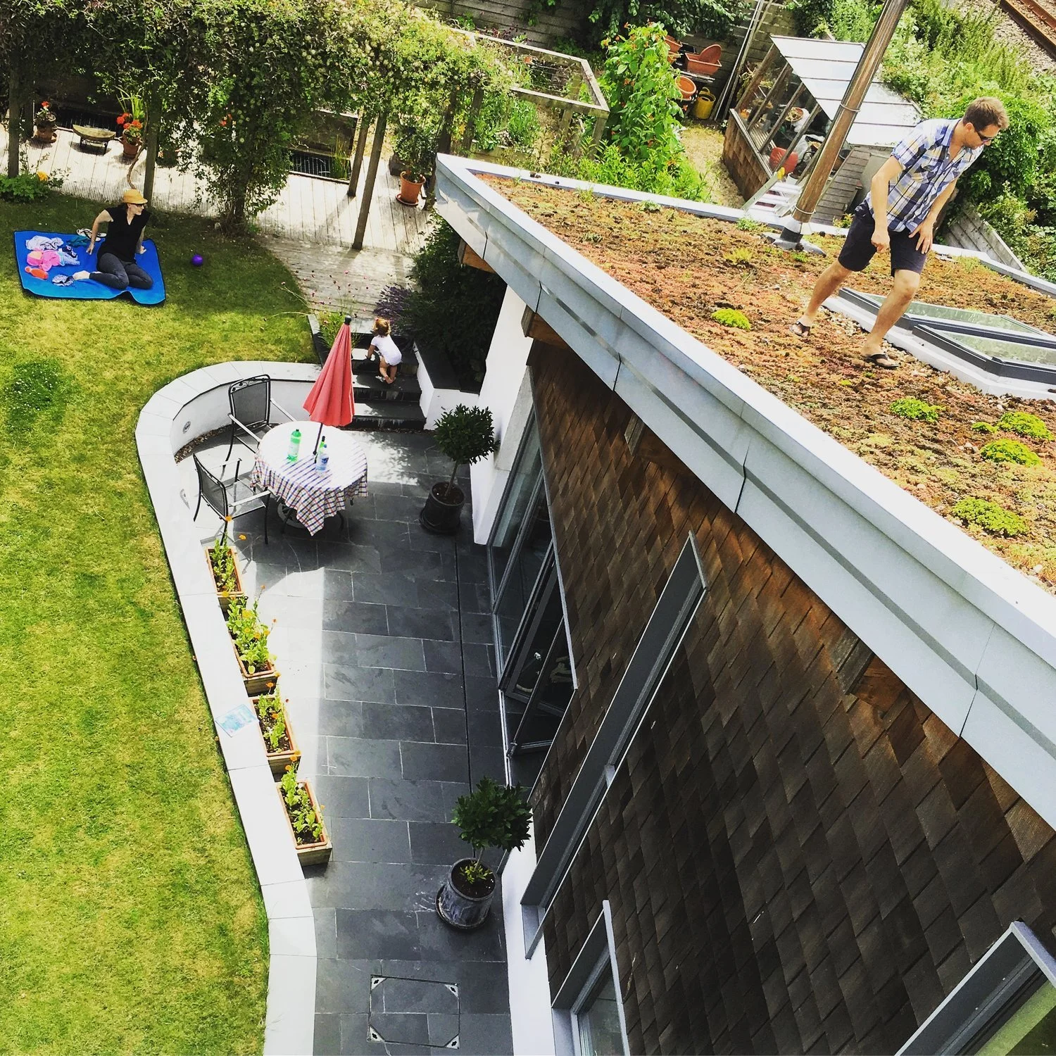 Green Roof to New Self Build Eco House in Dorset — barefoot architects