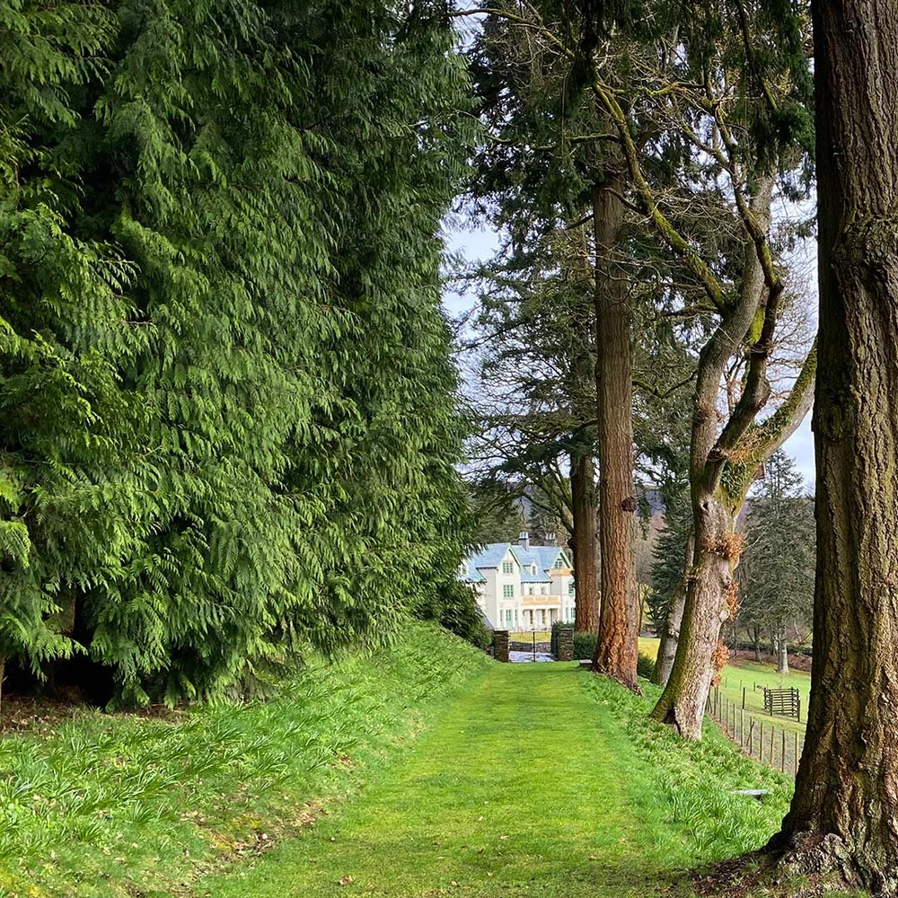 Rhydoldog Cabins — barefoot architects
