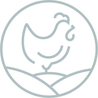 Sweet Farm | Farm Animal Rescue & Regenerative Agriculture Nonprofit