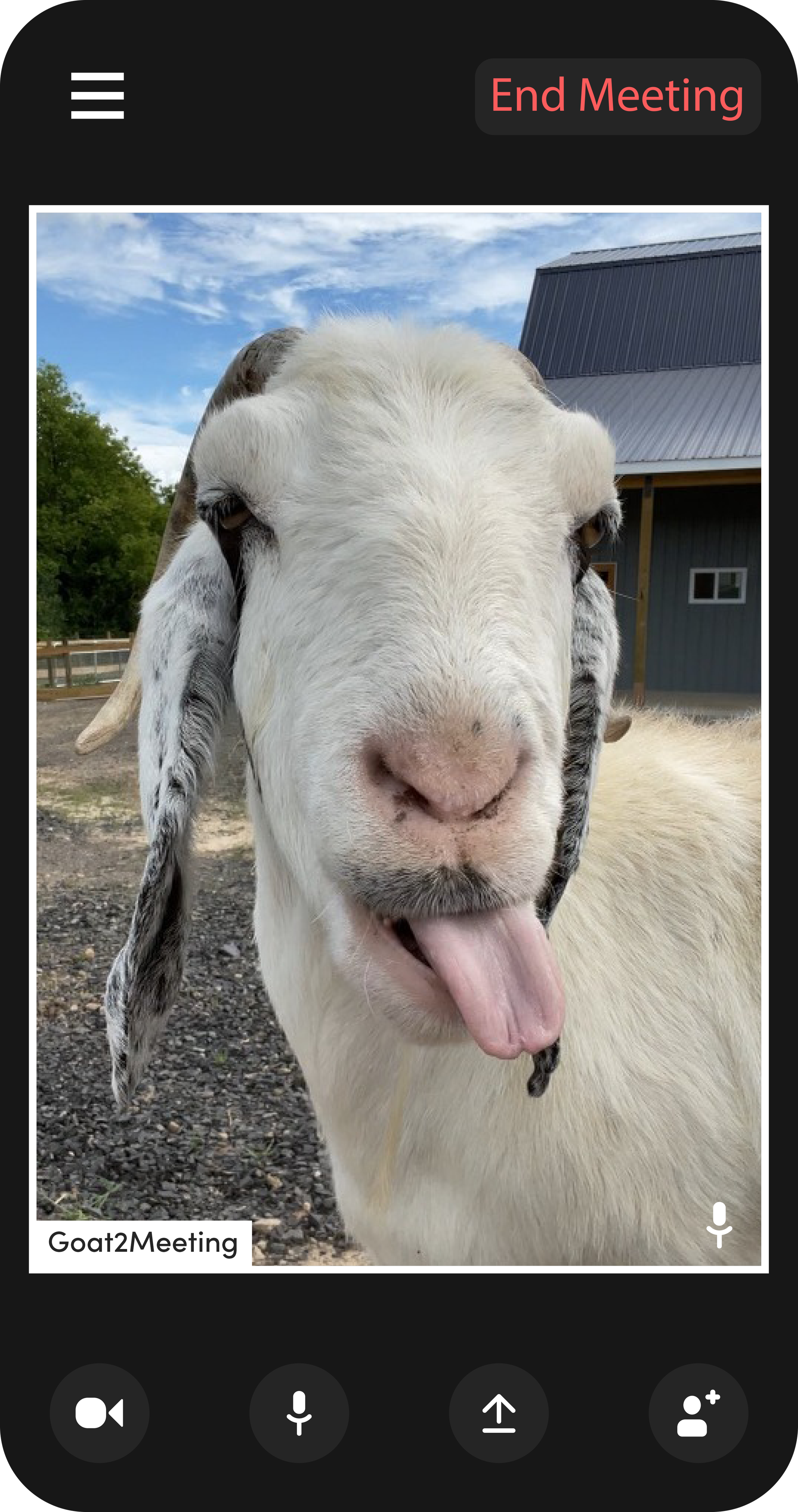 Sweet Farm | Farm Animal Rescue & Regenerative Agriculture Nonprofit