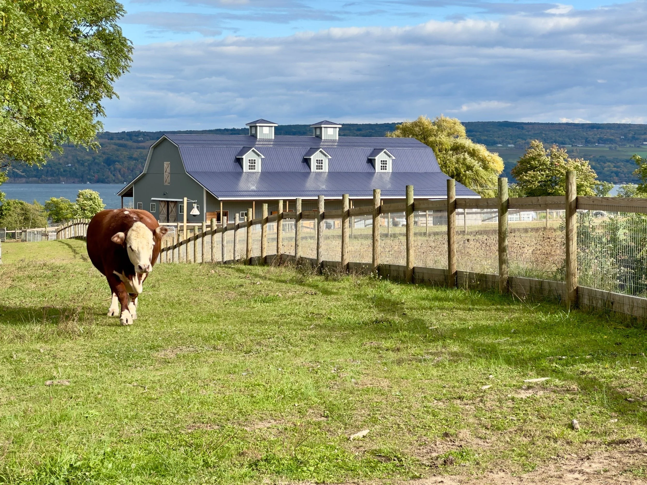 Sweet Farm