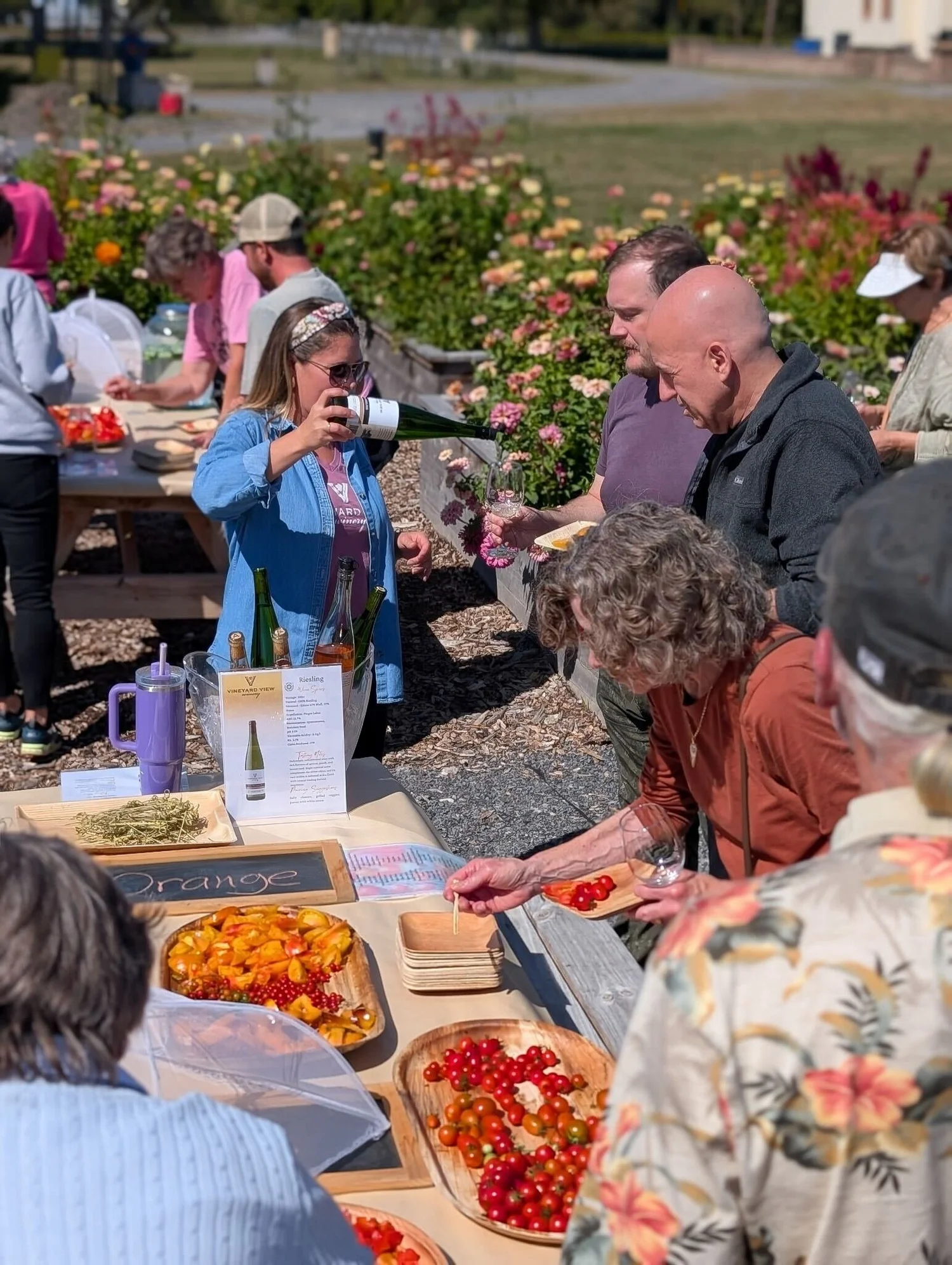 Sweet Farm | Farm Animal Rescue & Regenerative Agriculture Nonprofit