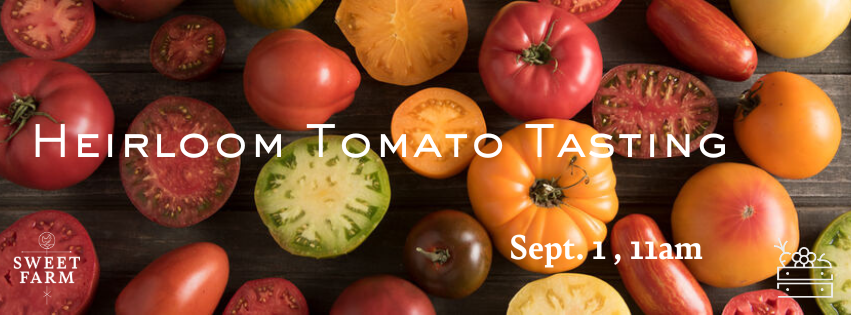 Heirloom Tomato Tasting — Sweet Farm