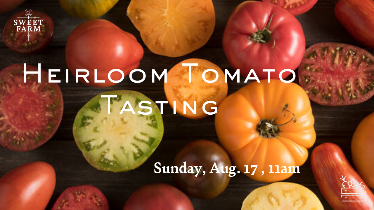 Heirloom Tomato Tasting — Sweet Farm