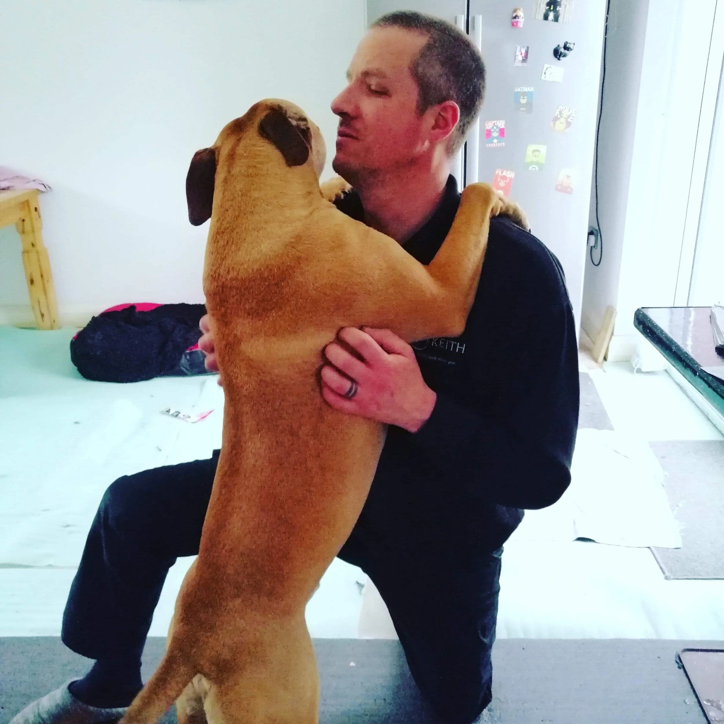 Rusty — Yorkshire Rescue