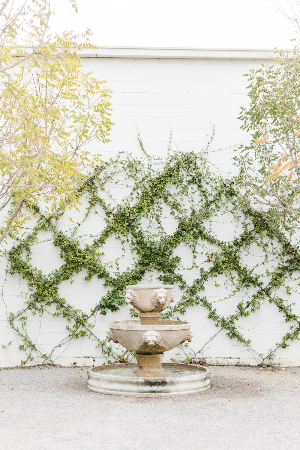 Gallery — Christopher Glenn