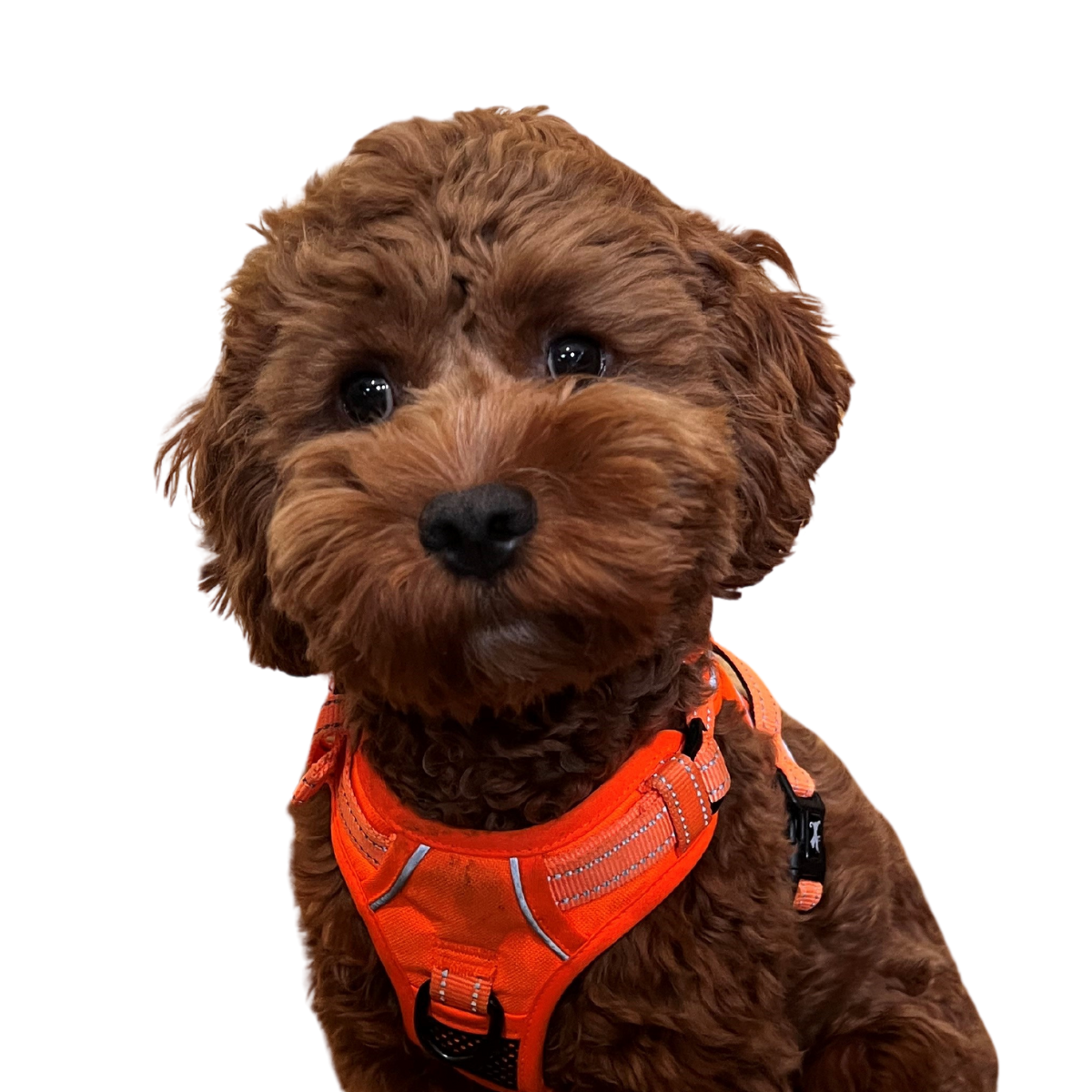 Team — Flaherty Sales Co.