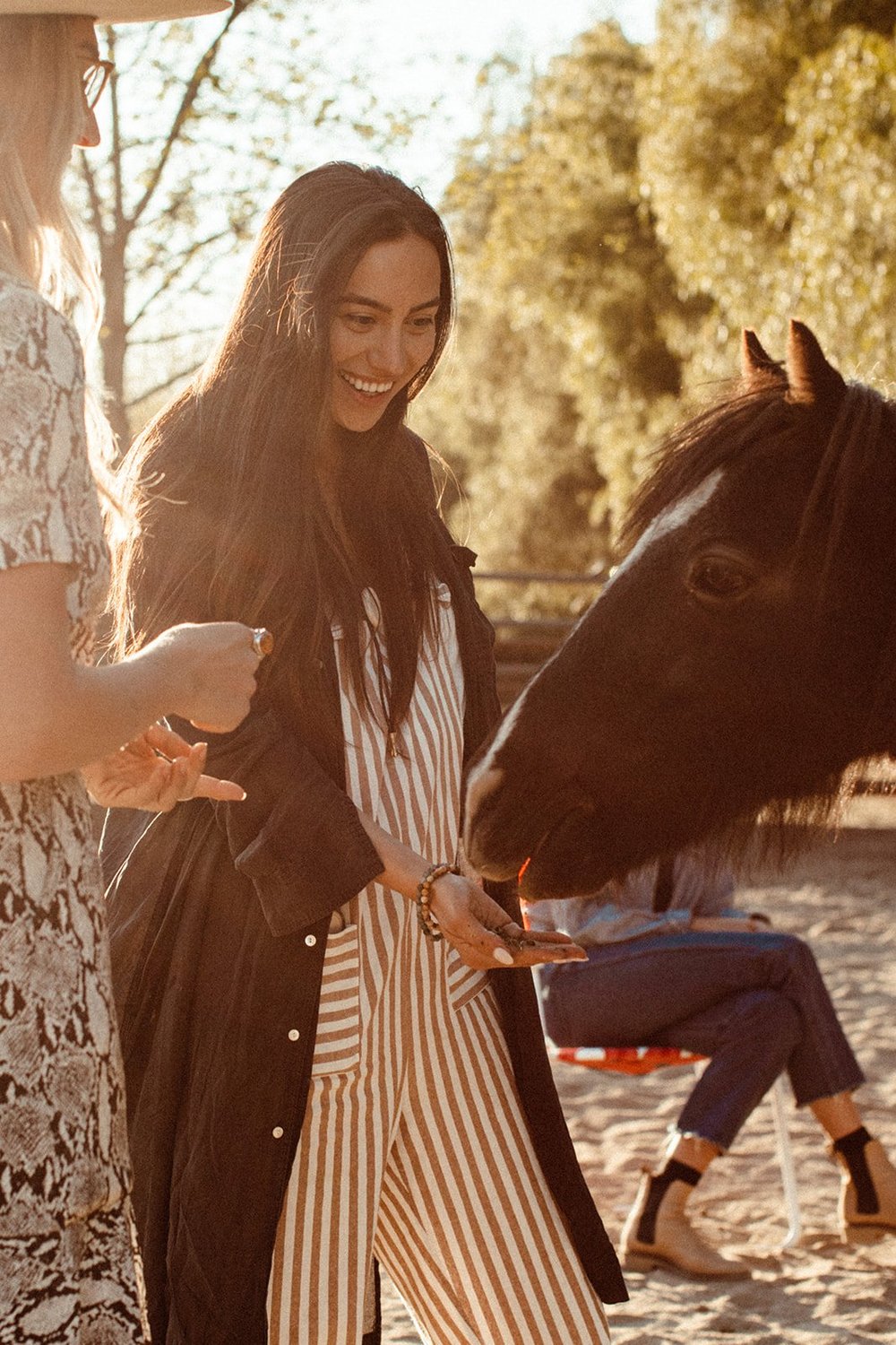 Horse Constellations — Two Moons Ranch
