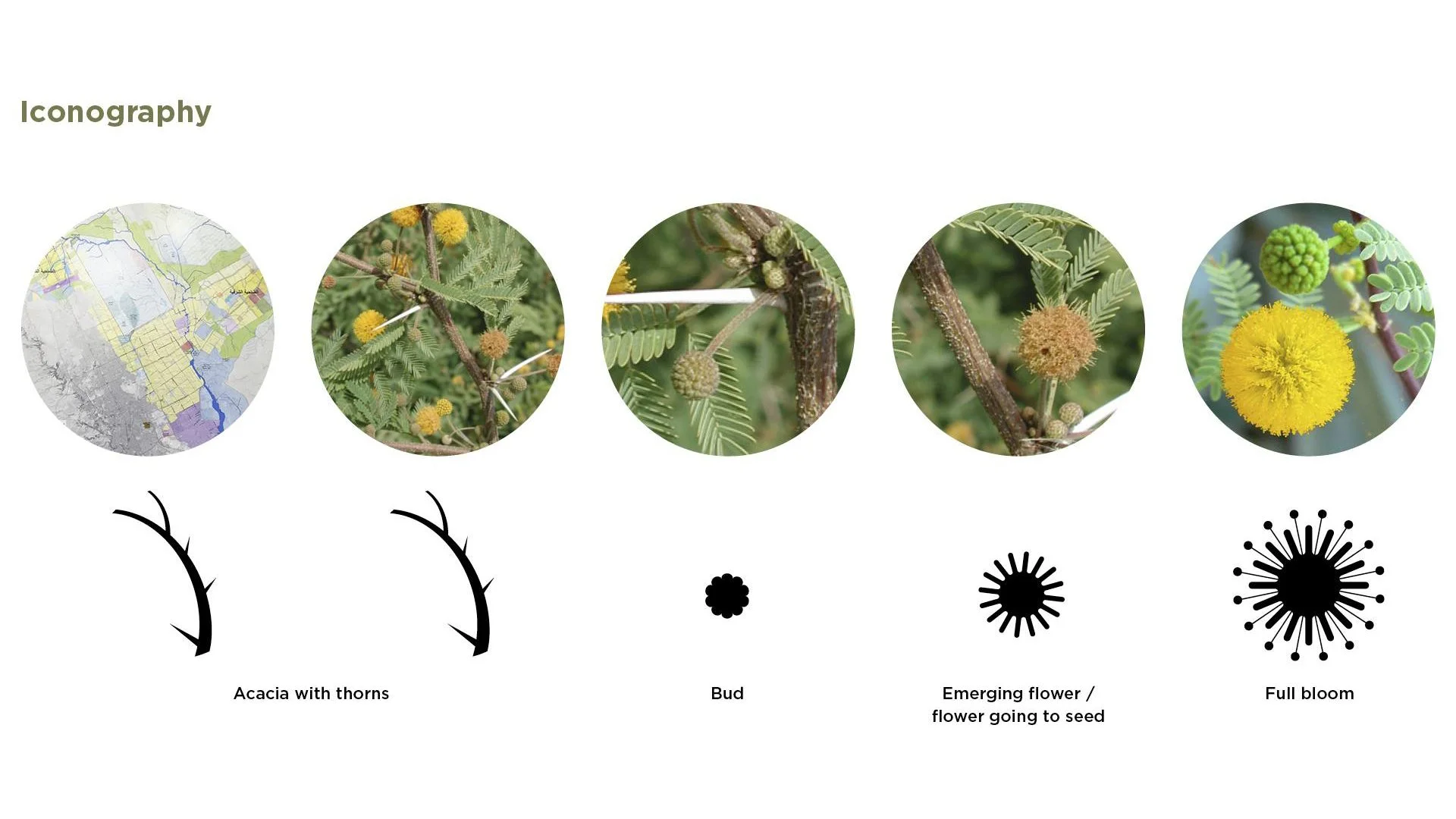 Wadi As Sulai — BHANDARI & PLATER INC.