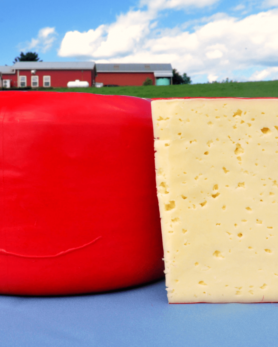 Cowtipper | Shop | Calkins Creamery