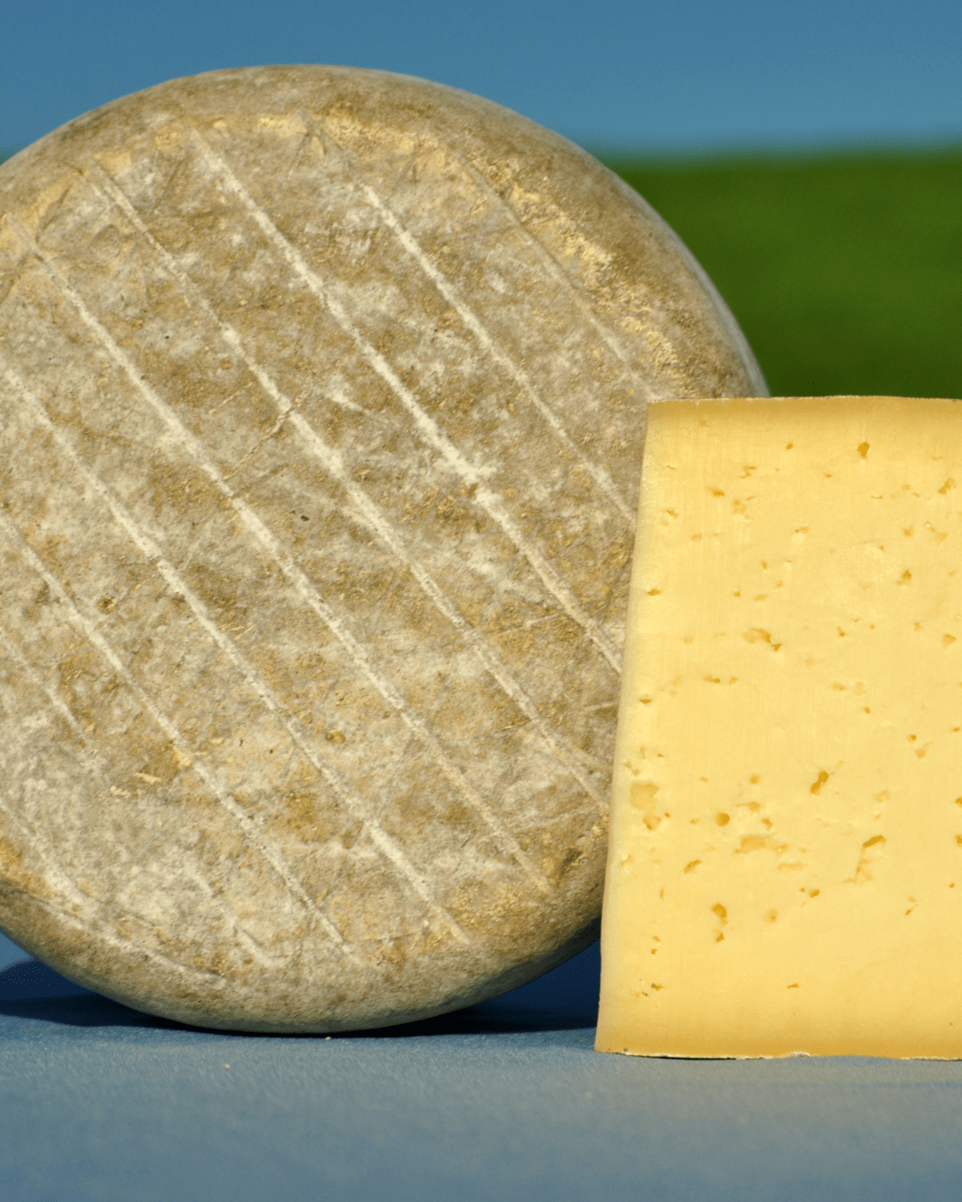 Cowtipper | Shop | Calkins Creamery