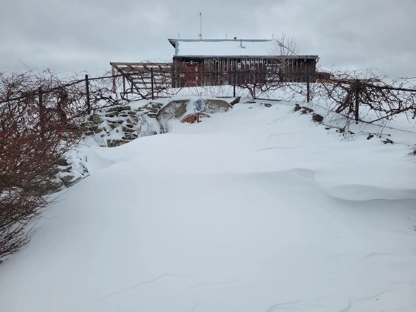 Artisan Cheese From a Local Family Farm | Home | Calkins Creamery