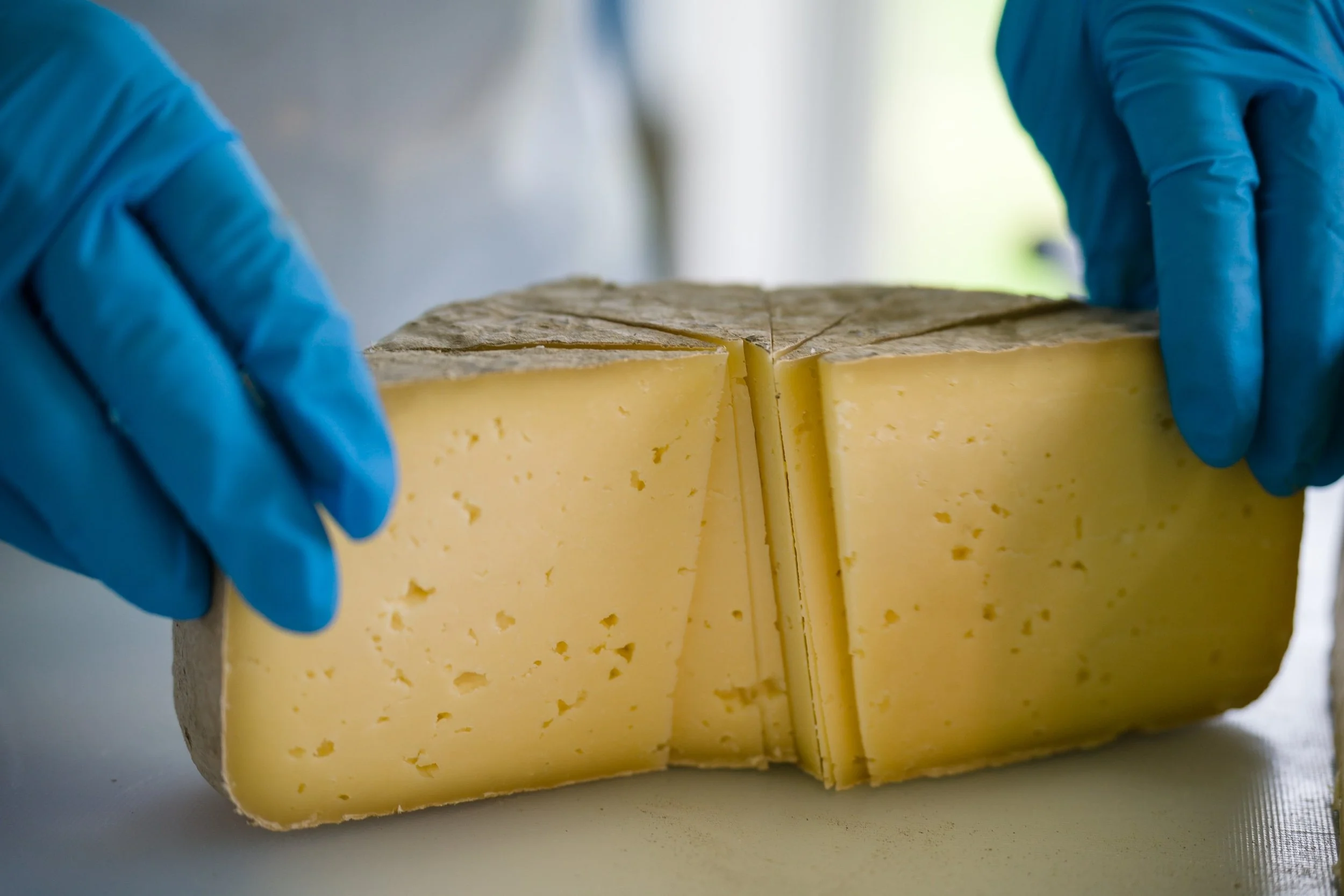 How Our Artisan Cheeses Are Made| Calkins Creamery