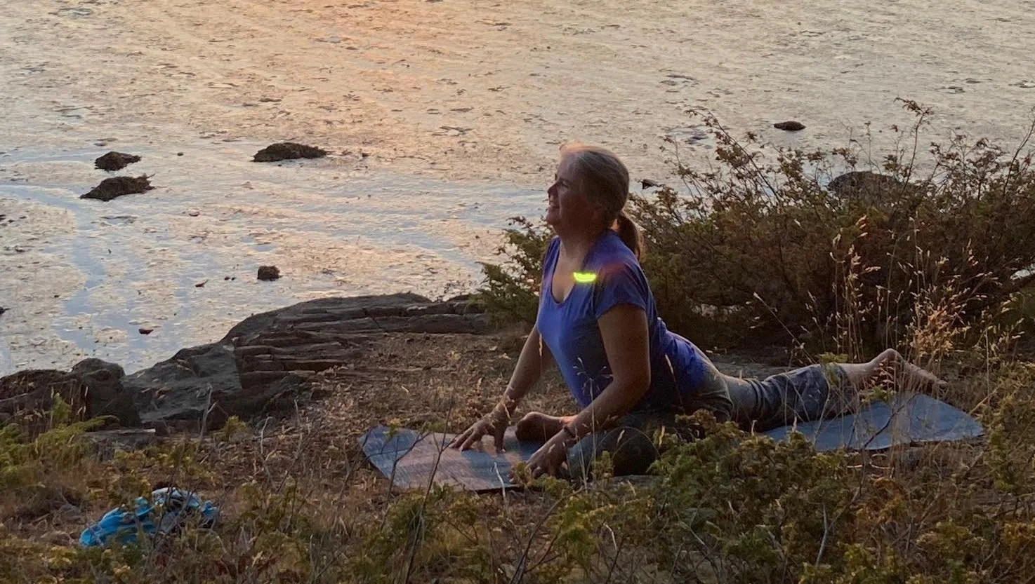 Embodied Living: Embracing New Pathways, Mindfulness, and Vital Energy ...