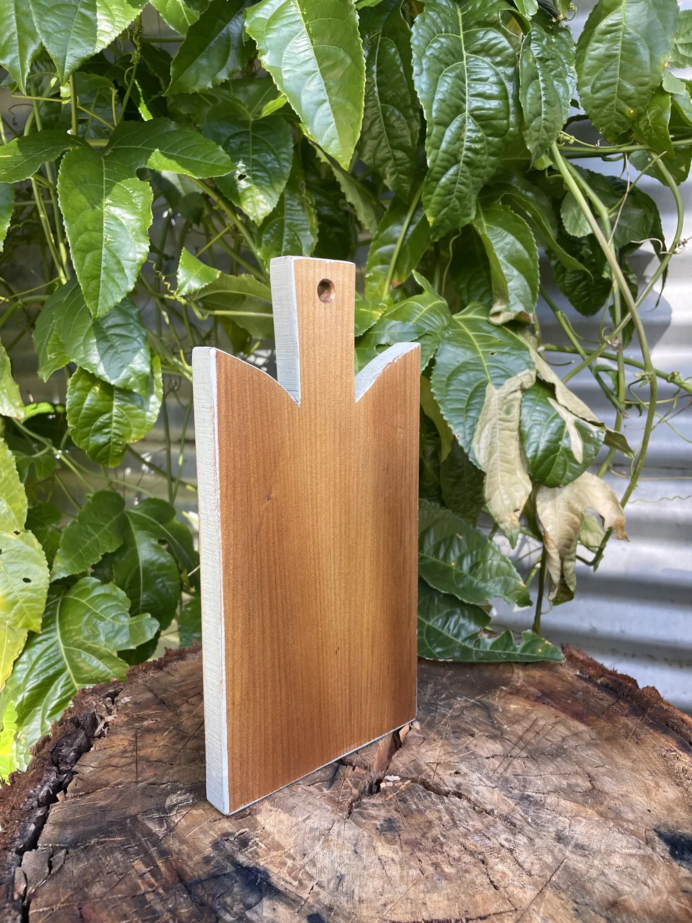 Shop — TREE ESSENCE