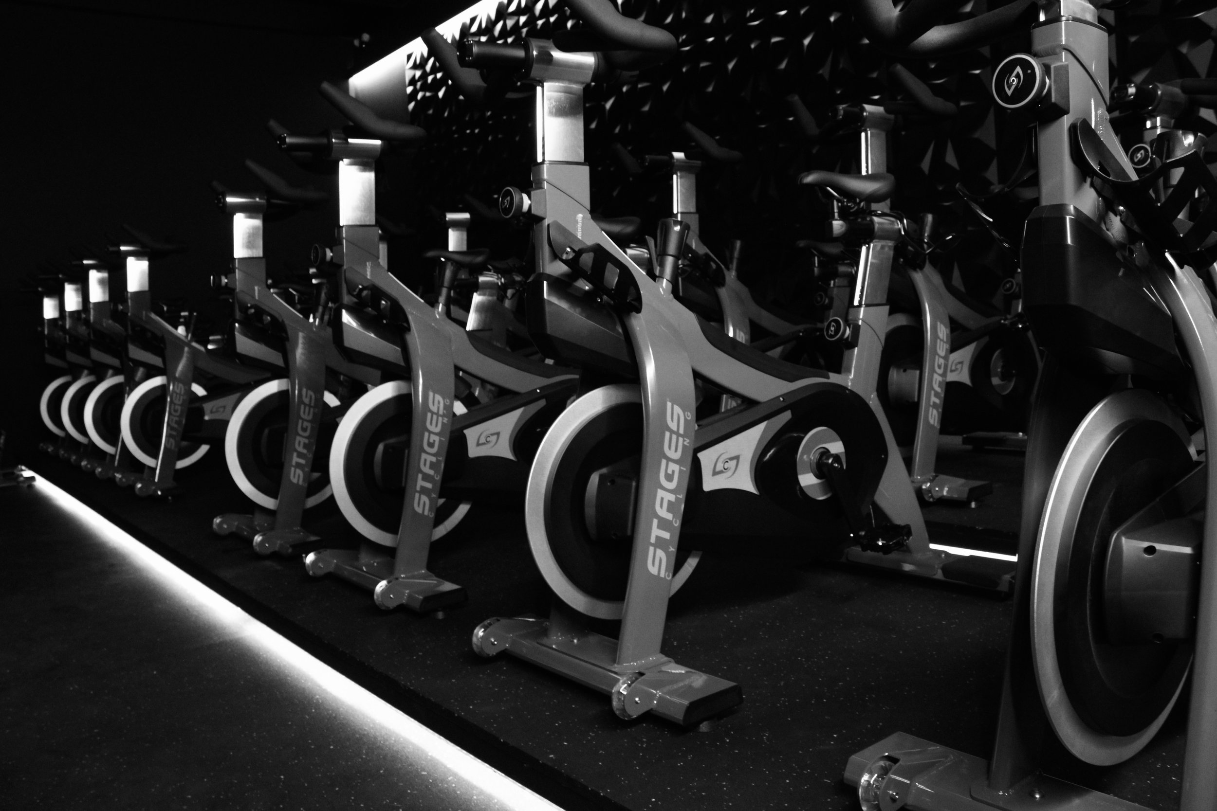 MADE WILD | Rhythmic Cycling Studio