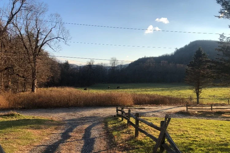 Turtle Bend Farm