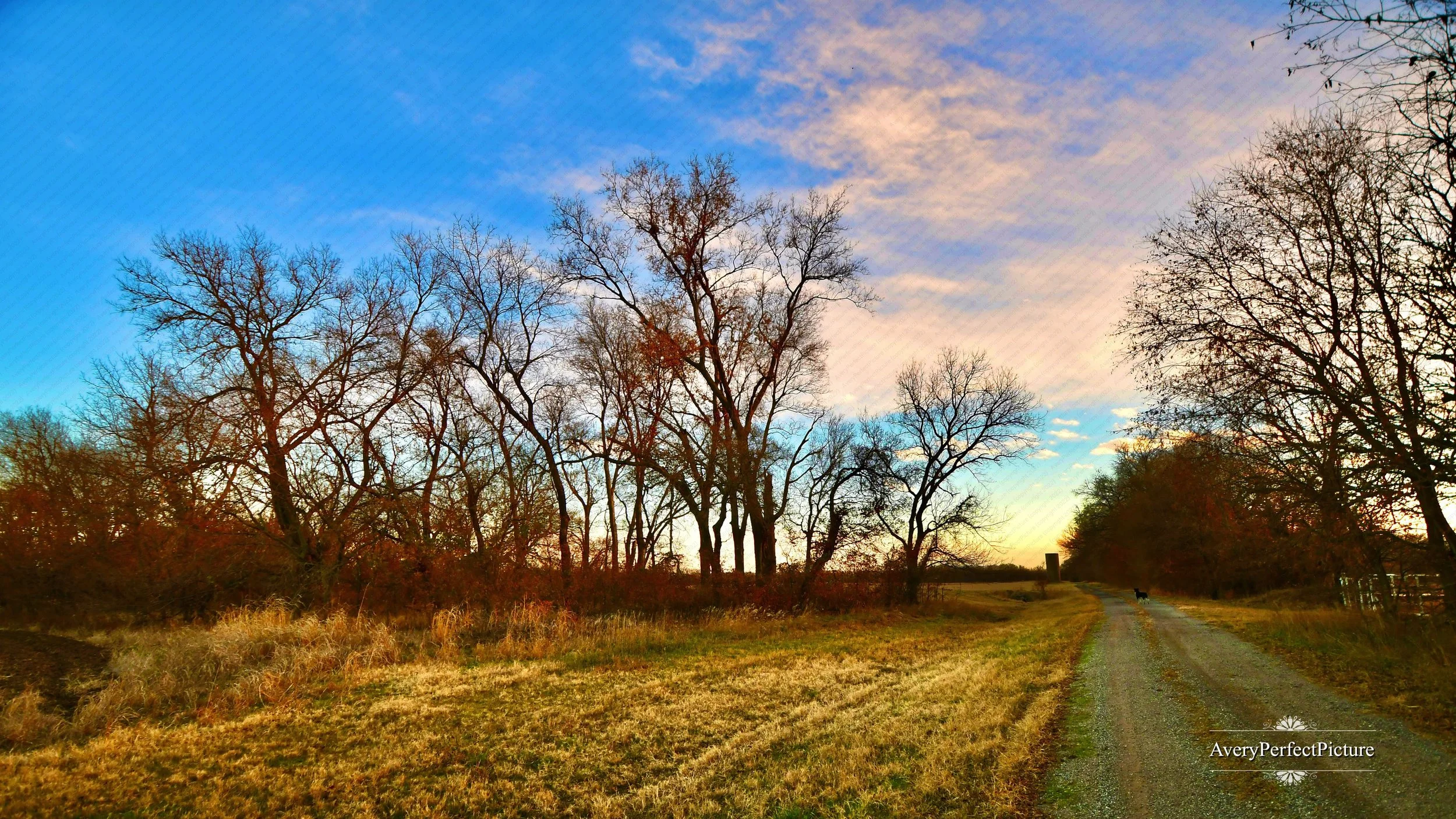 Designed, photographed and made locally from start to finish in Wichita ...