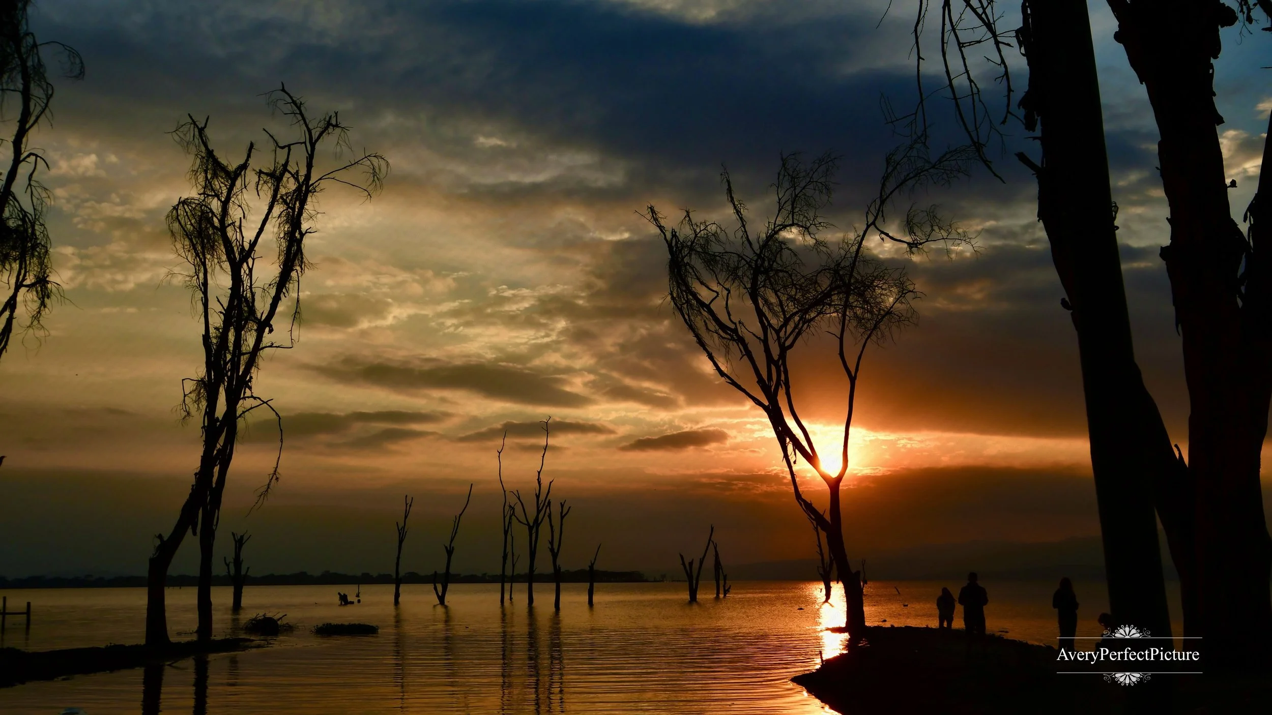 Antartica - Port Lockroy the Antarctic Peninsula. Unique Nature ...