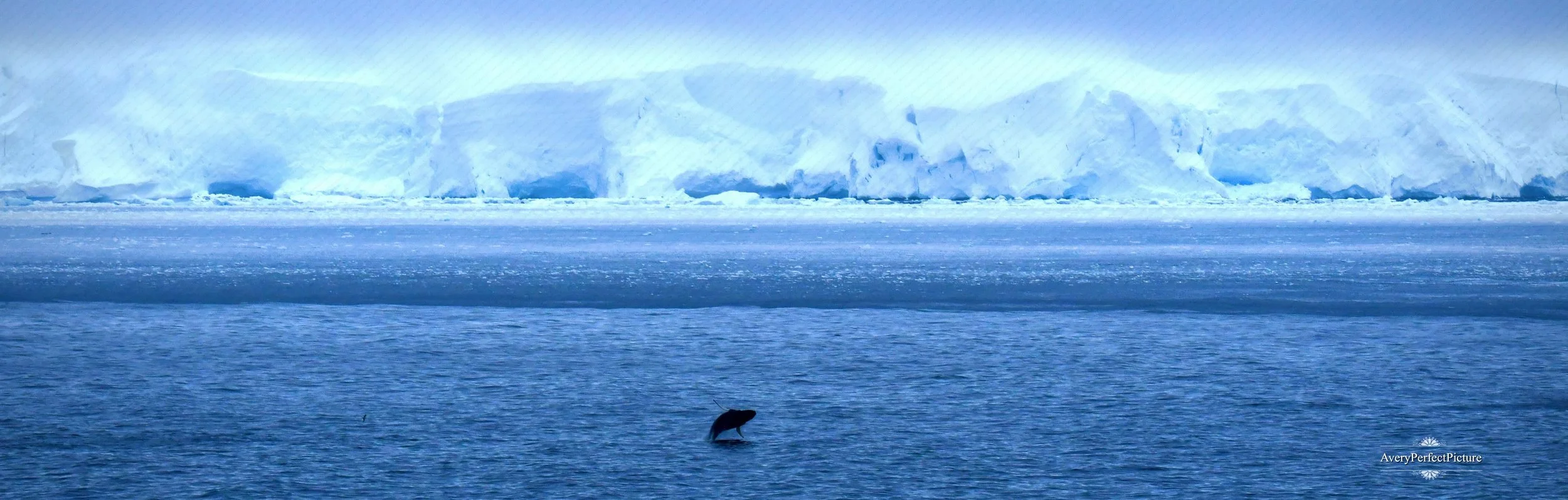 Panoramic Nature - Iguazu Falls Argentina Photography Art for Home or ...