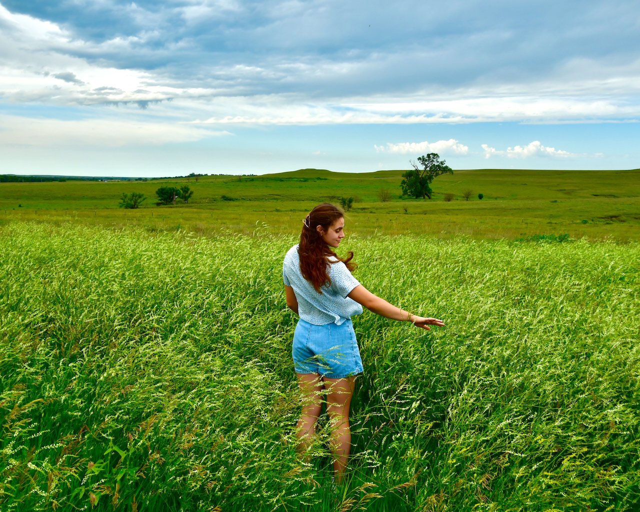 Cities - Panoramic Chicago Skyline at Night over Lake Michigan ...