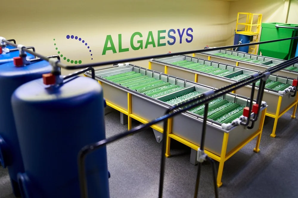 Bioreactor Wastewater Treatment Solutions — ALGAESYS