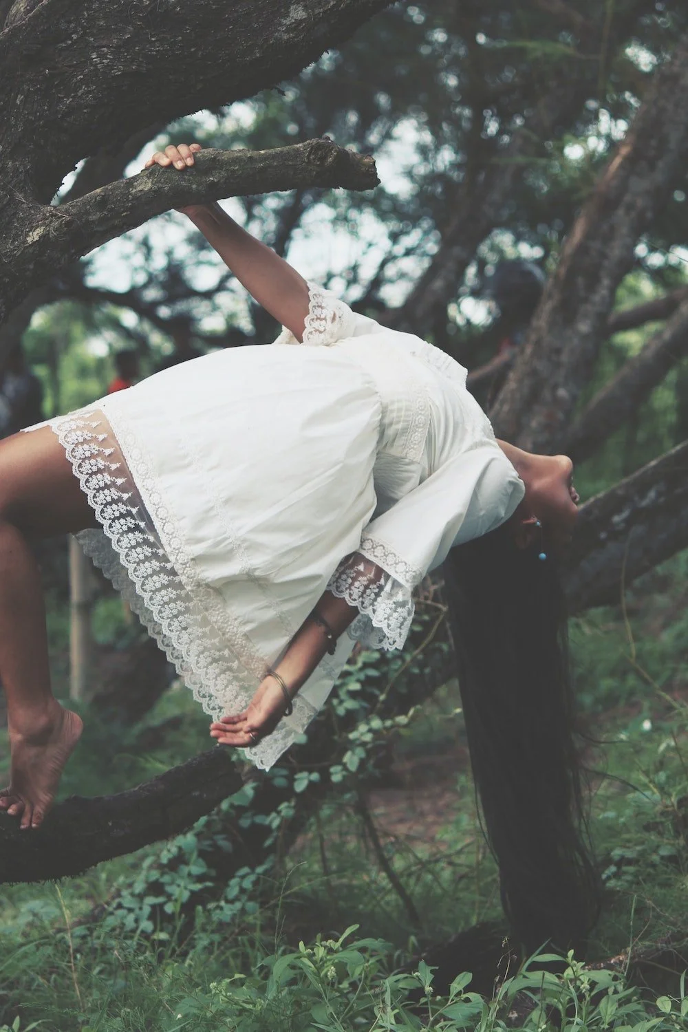 Boosting NK Cells (Anti-Cancer) and Other Benefits of Forest Bathing ...