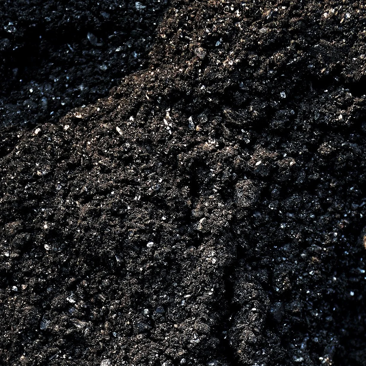 Nature-based Carbon Credits, Biofuel and Biochar — Jord AB