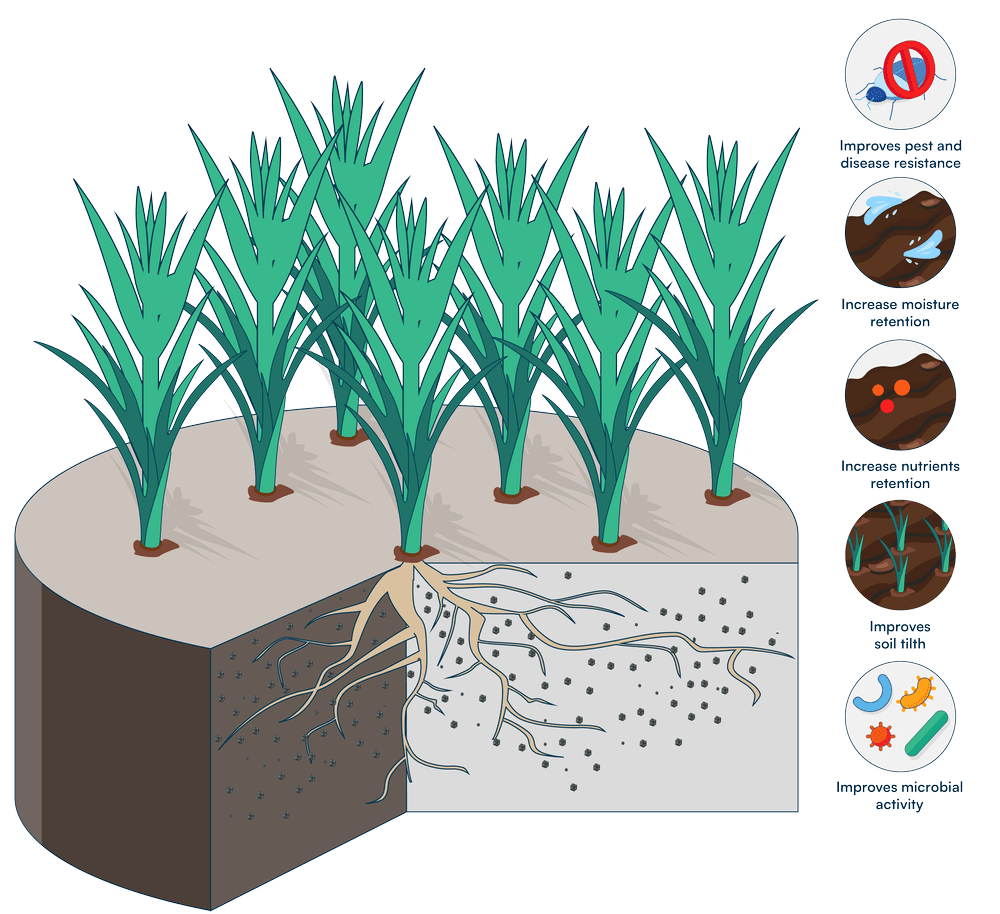 Biochar to remove carbon and restore the soil — Jord AB