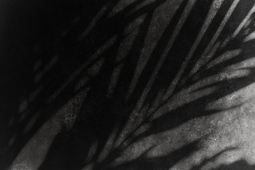 WORK — IKARUS / digital creatives