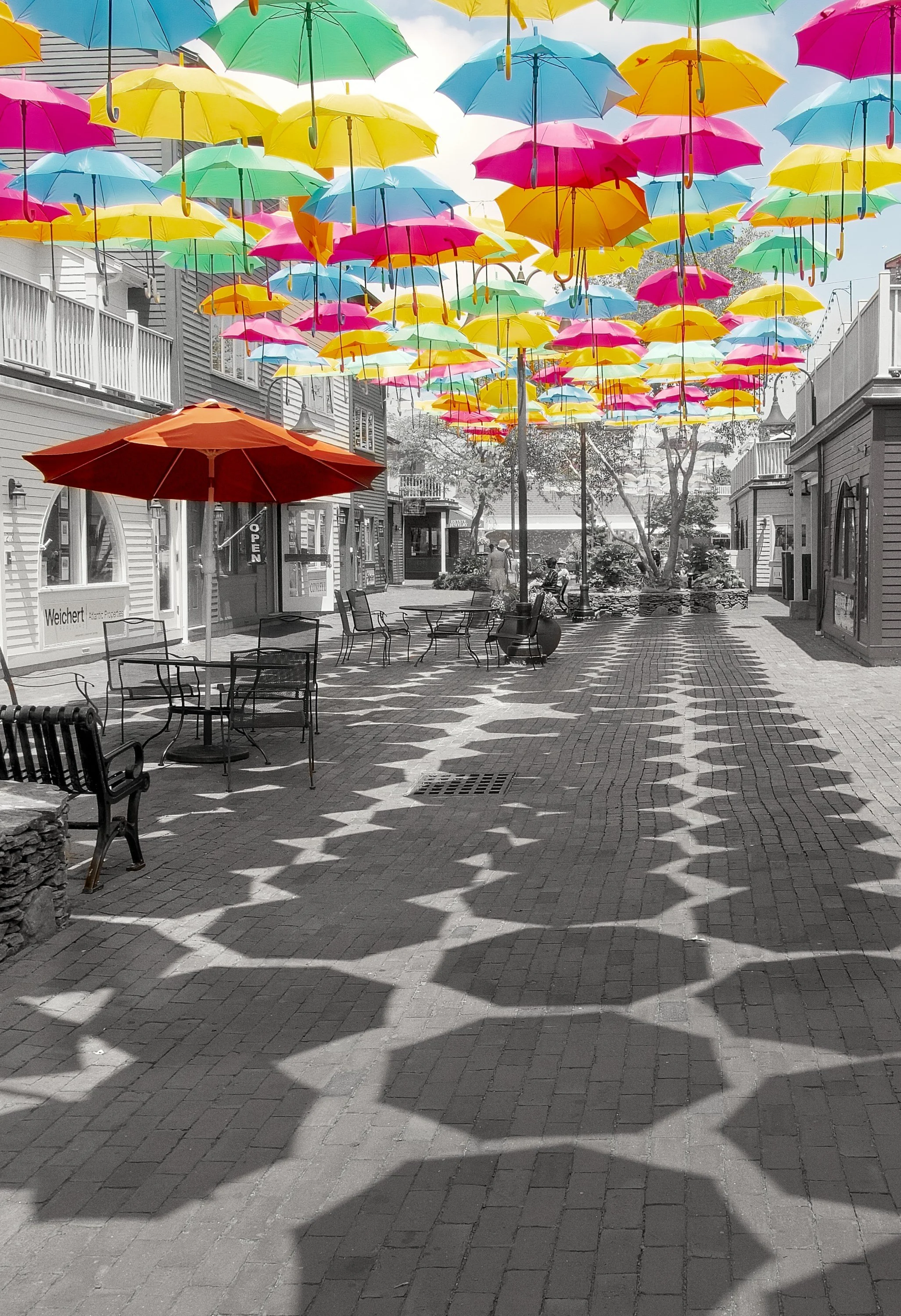 Gallery 1 — Newport Photo Guild