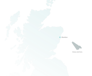 The Project — Ossian