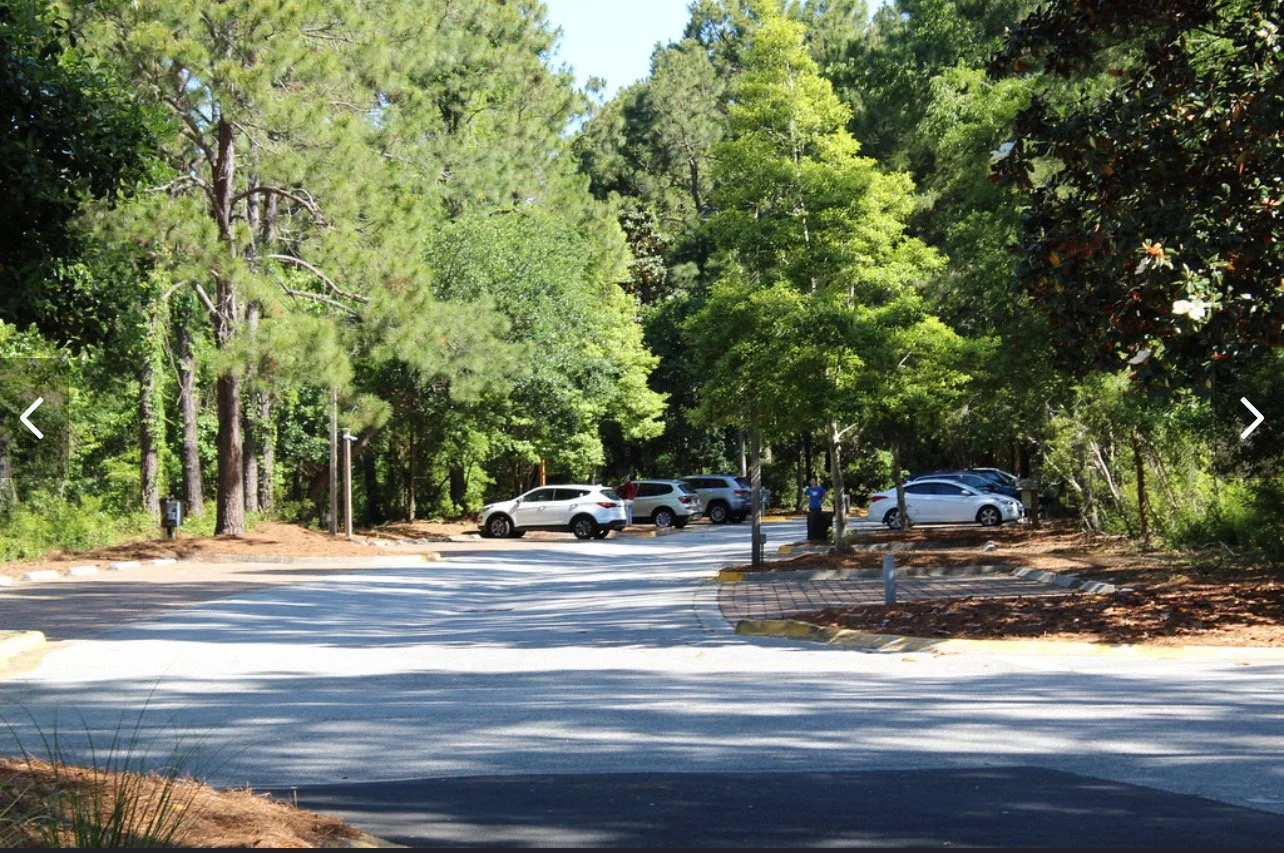 Lot Information — Hilton Head Island