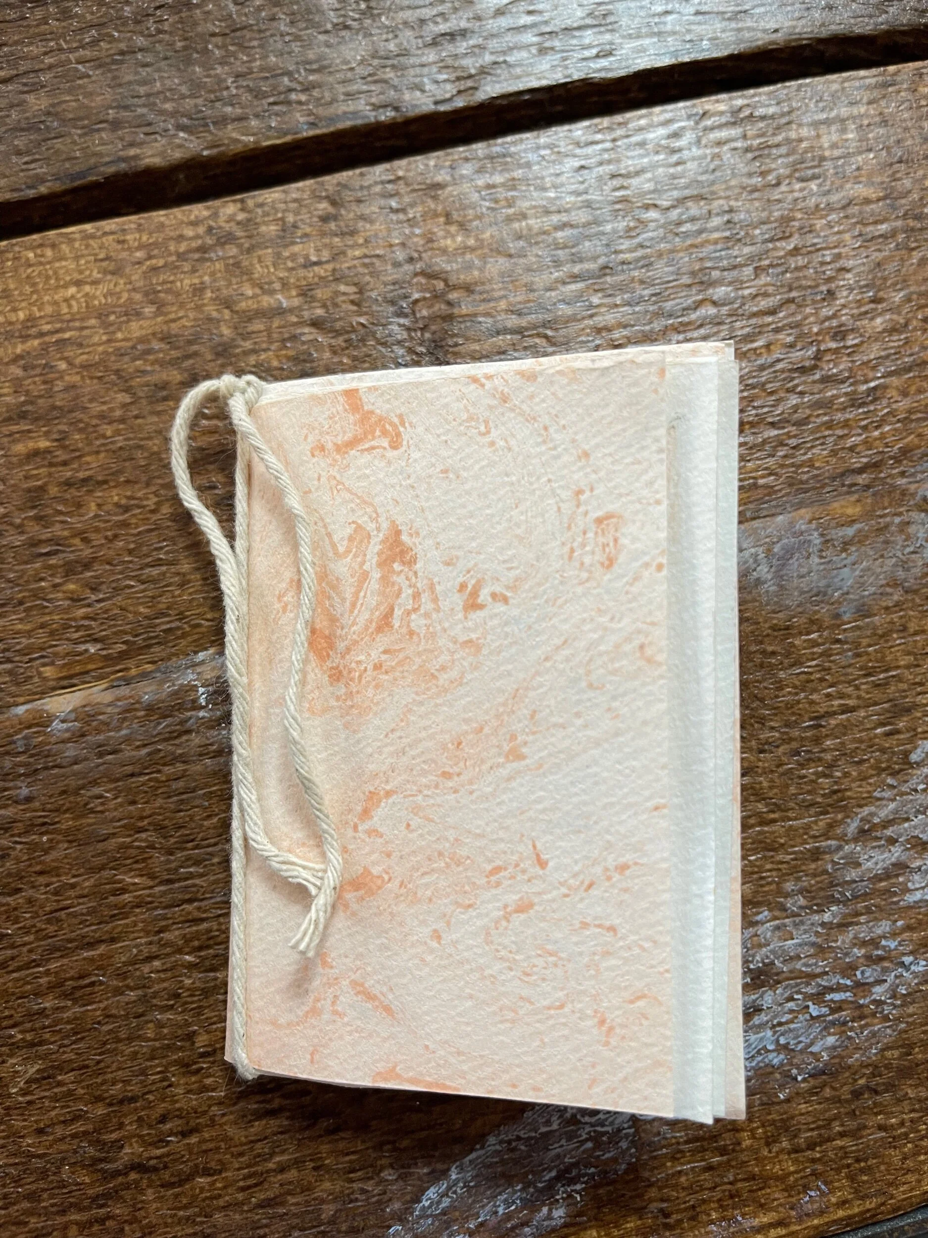 Bloom Journal — Bailey Constas