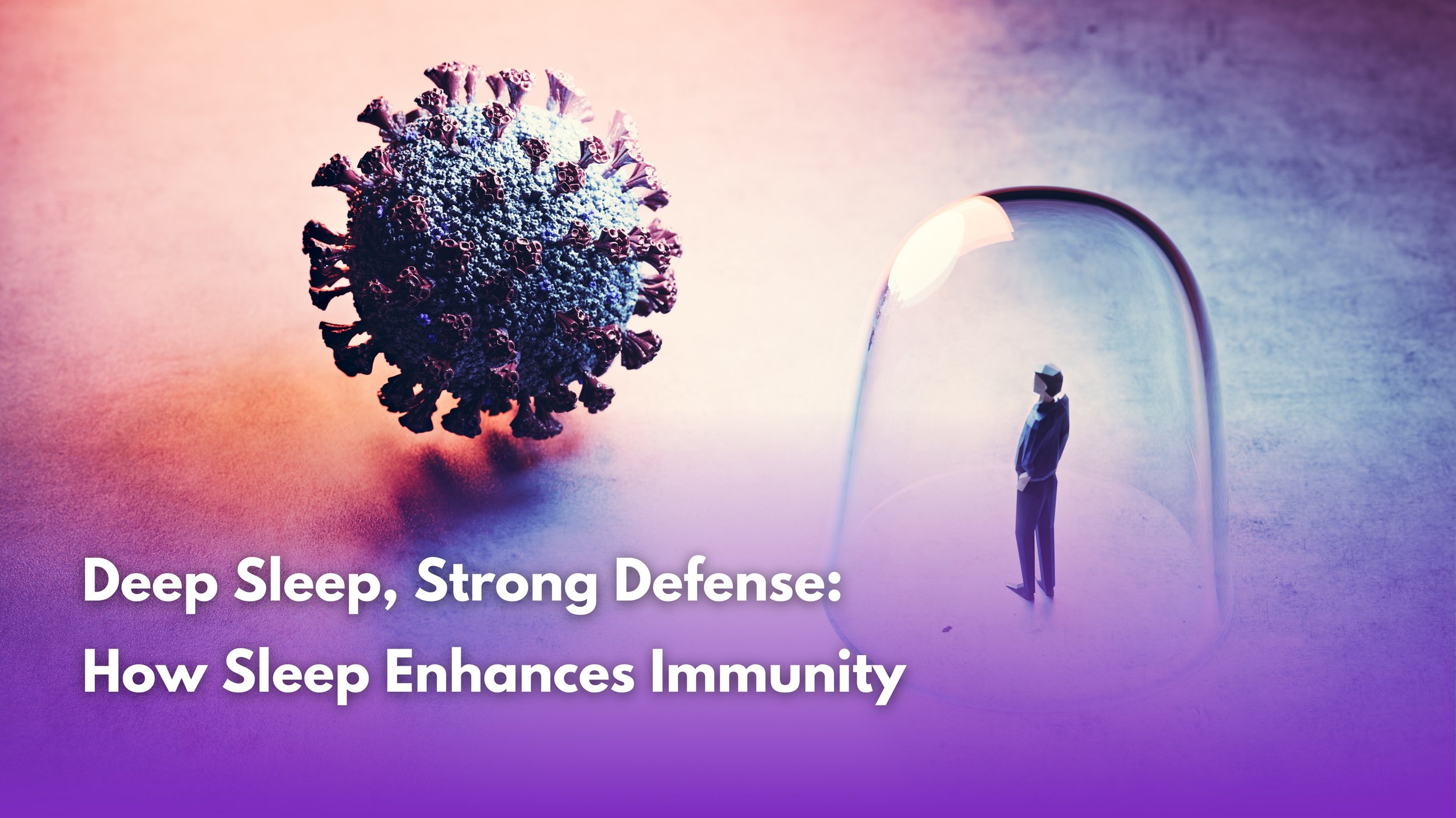 How Sleep Enhances Immunity — Somnus Sleep Wellness