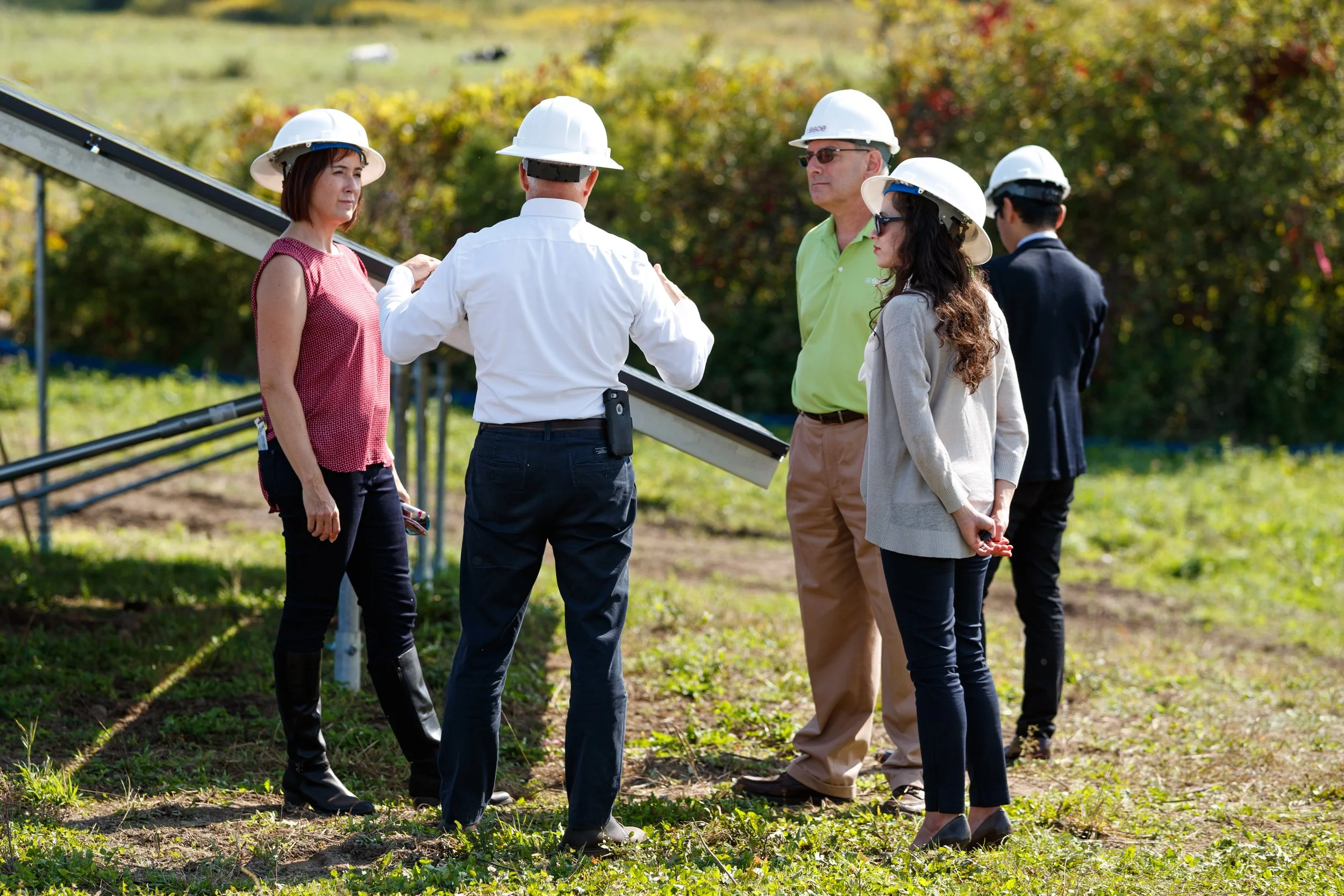 New Leaf Energy - Renewable Energy Developer