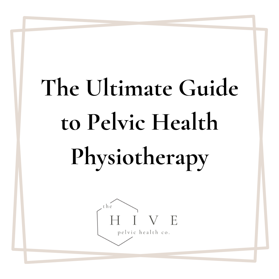 Your Ultimate Guide to Pelvic Health Physiotherapy — Hive Pelvic Health