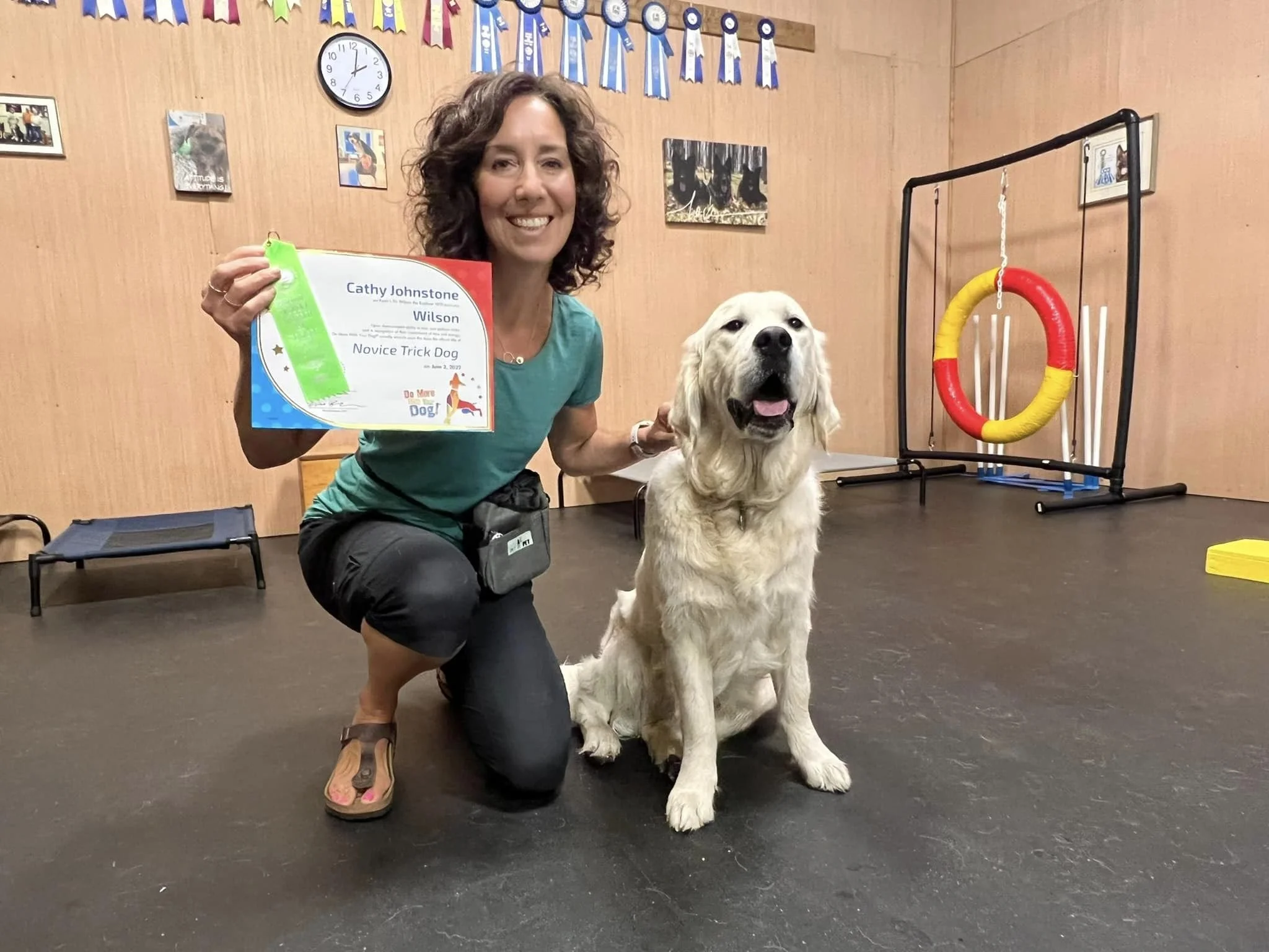 Allheart Dog Training Academy