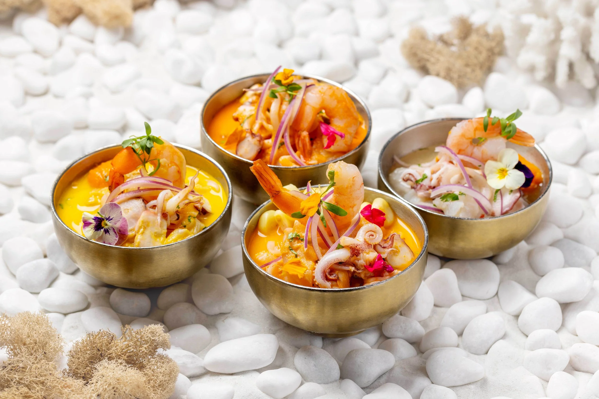 Gallery 1 — Ceviche 105