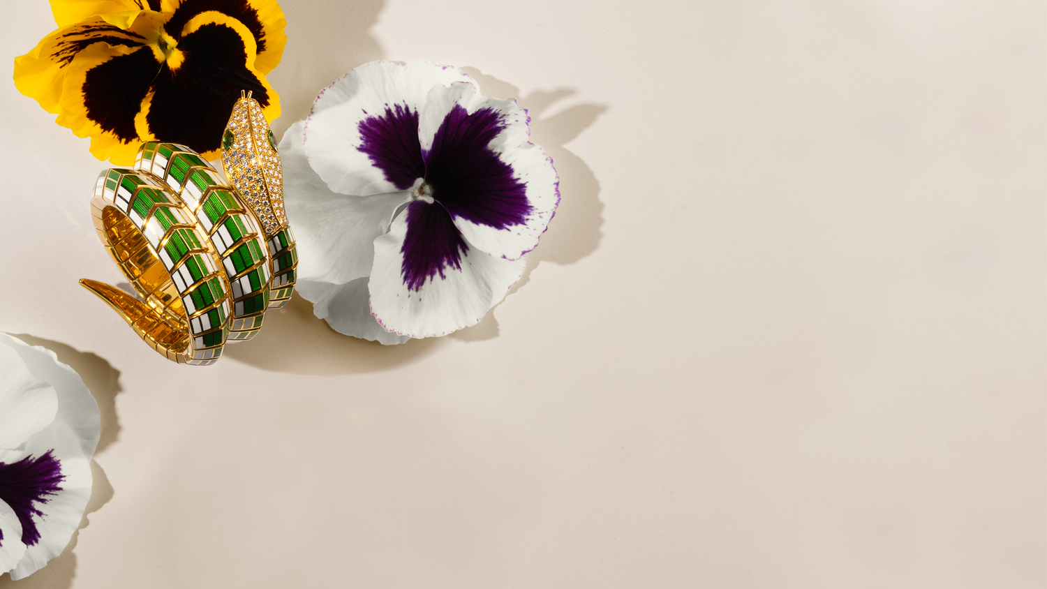 COLLECTIES — Van Esser