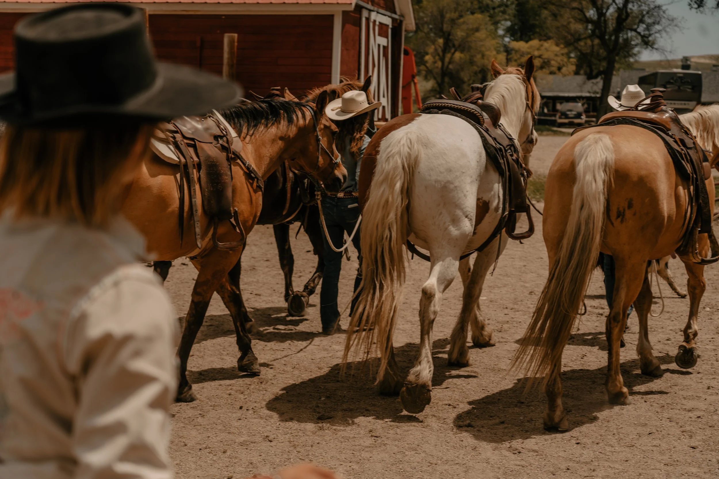Horseback Riding & Ranch Tours North Wyoming | TA RANCH